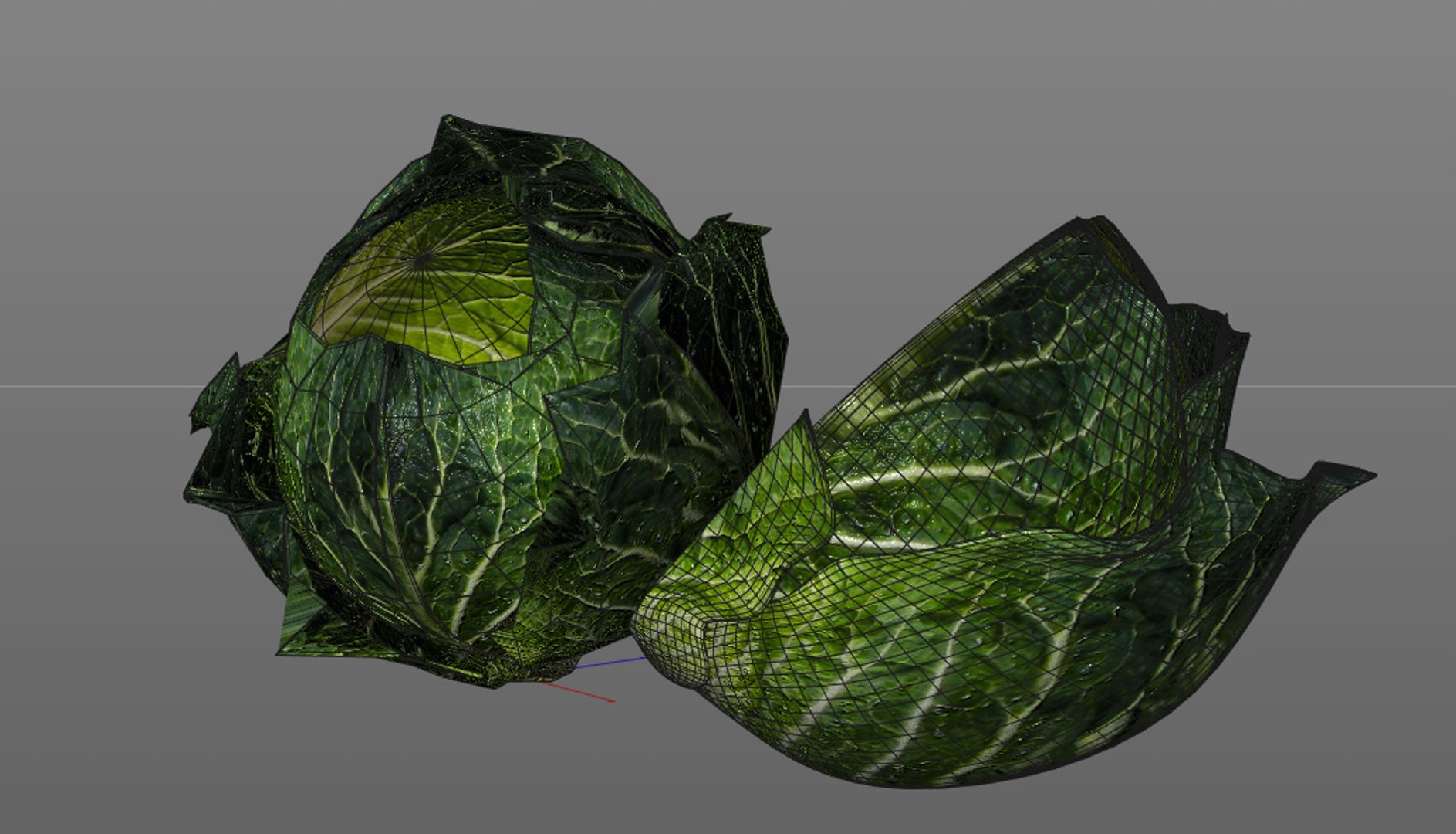 Cabbage 3D - TurboSquid 1544475