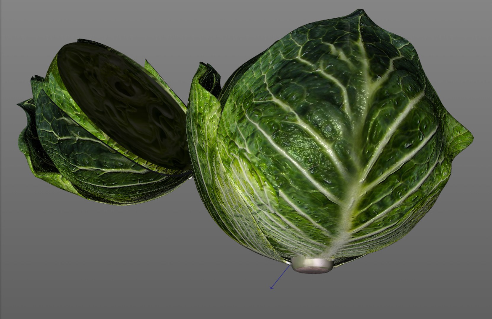 Cabbage 3D - TurboSquid 1544475