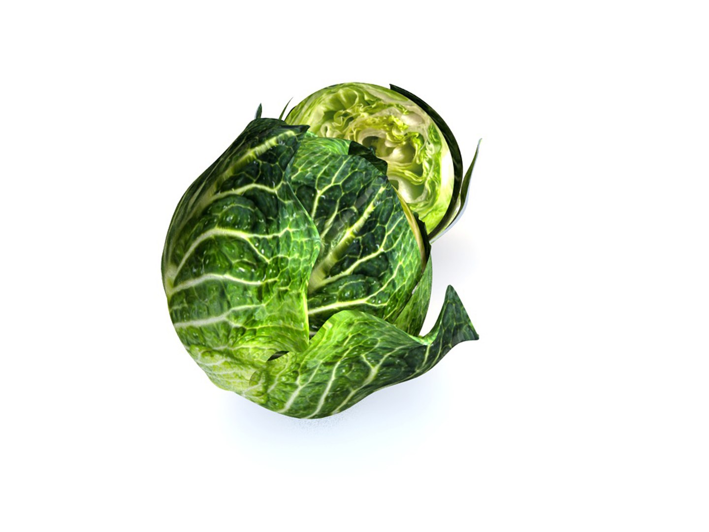 Cabbage 3D - TurboSquid 1544475