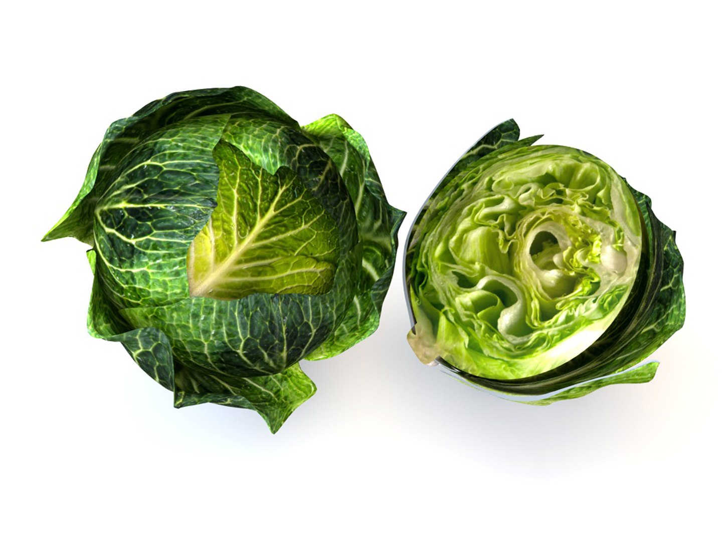 Cabbage 3D - TurboSquid 1544475