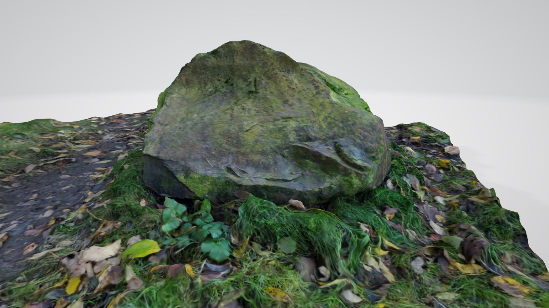 3D English Mossy Green Rock in Autumn 3D Scan model - TurboSquid 2148337