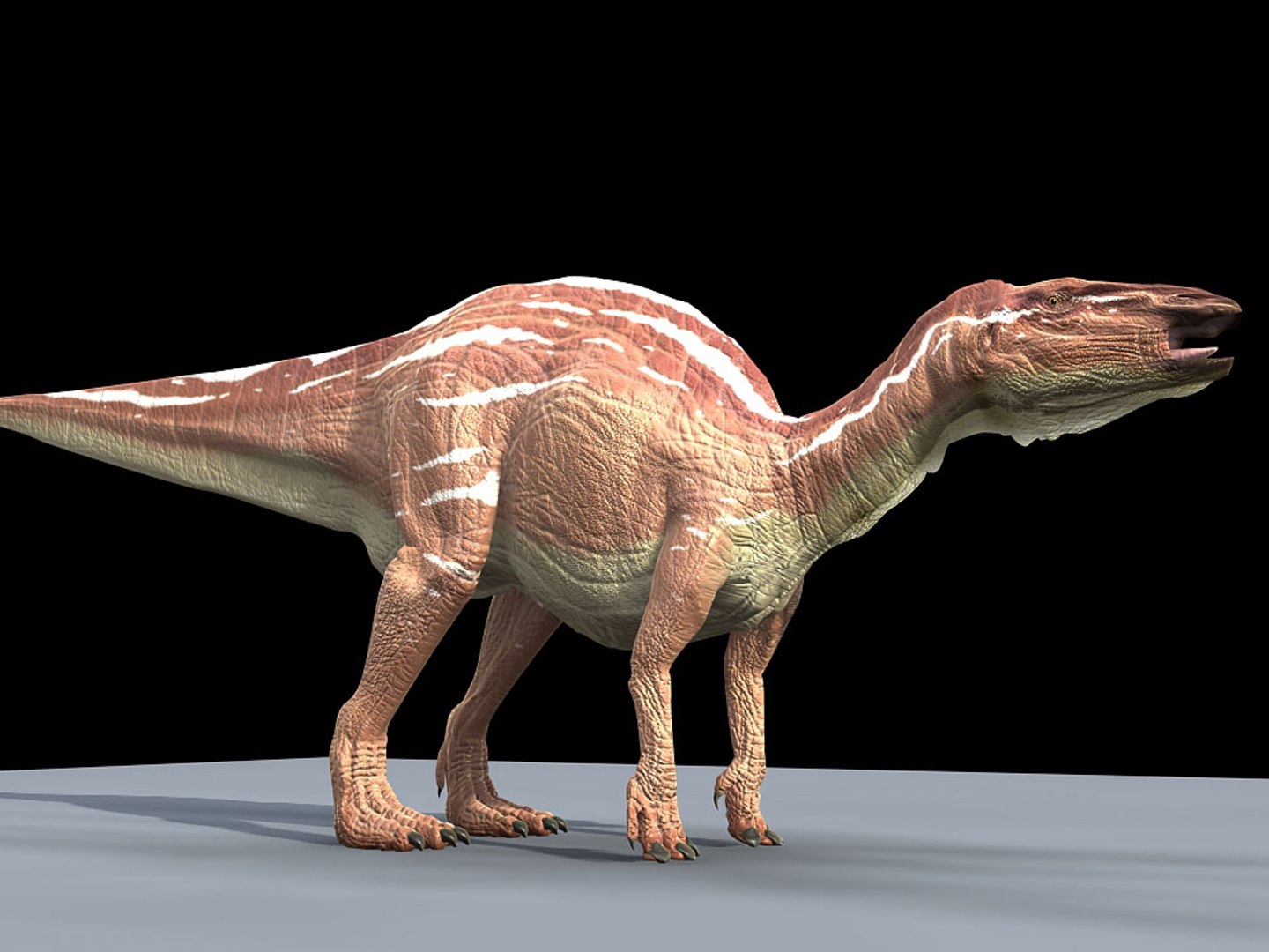 Dinosaur 3d Model