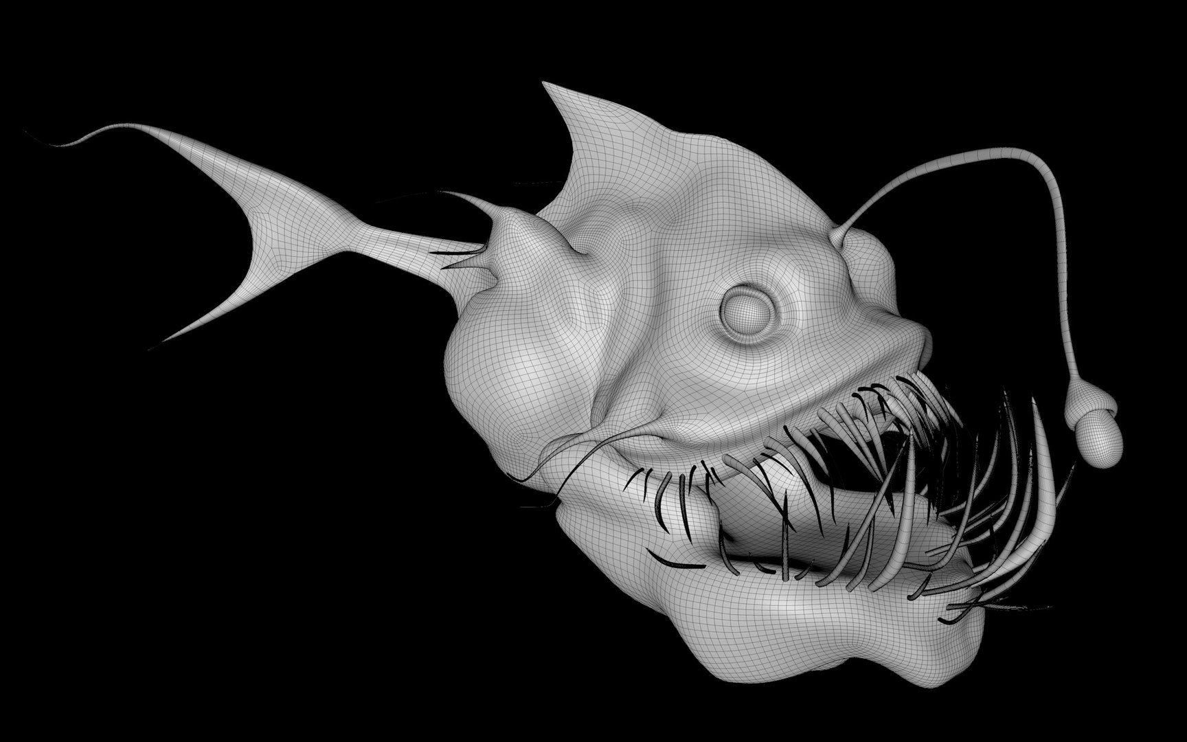 Angler Fish 3D - TurboSquid 1440419