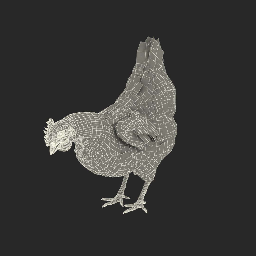 3D Brown Chicken Eating Model | 1148980 | TurboSquid