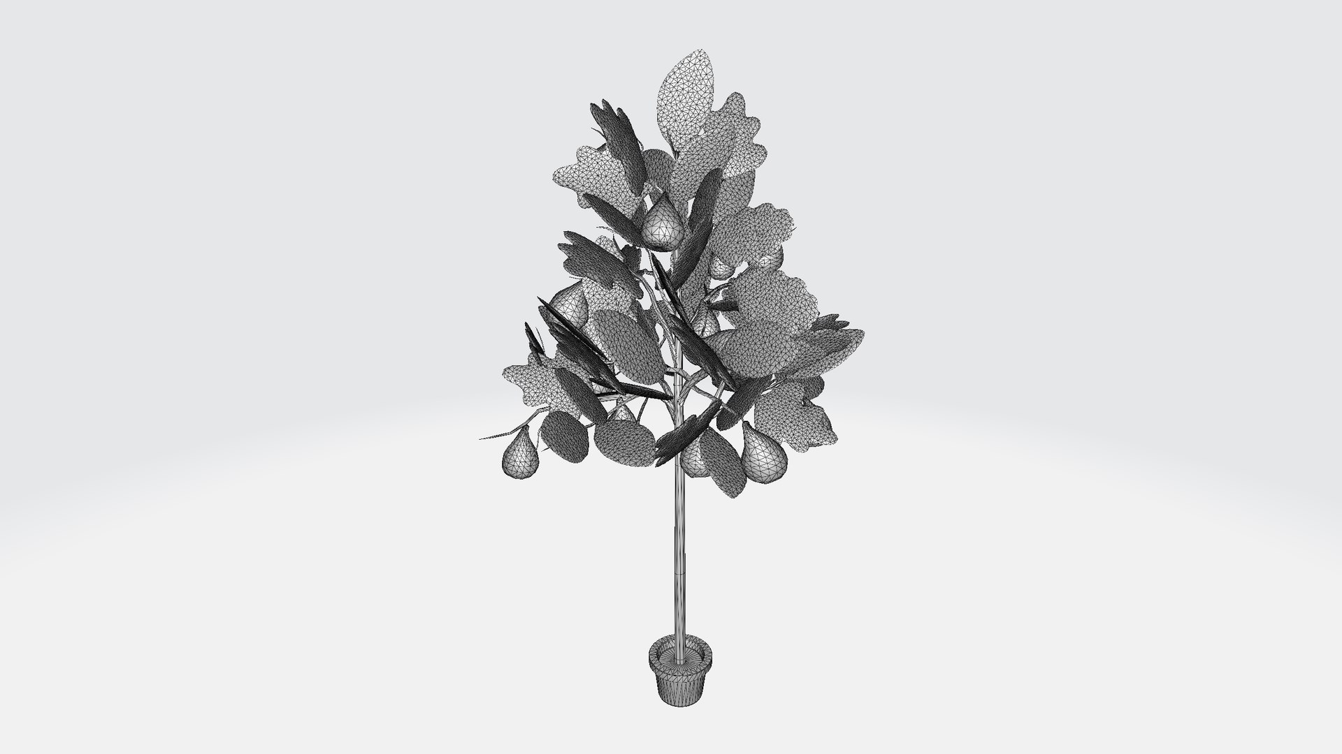 Fig Tree Model - TurboSquid 2329433