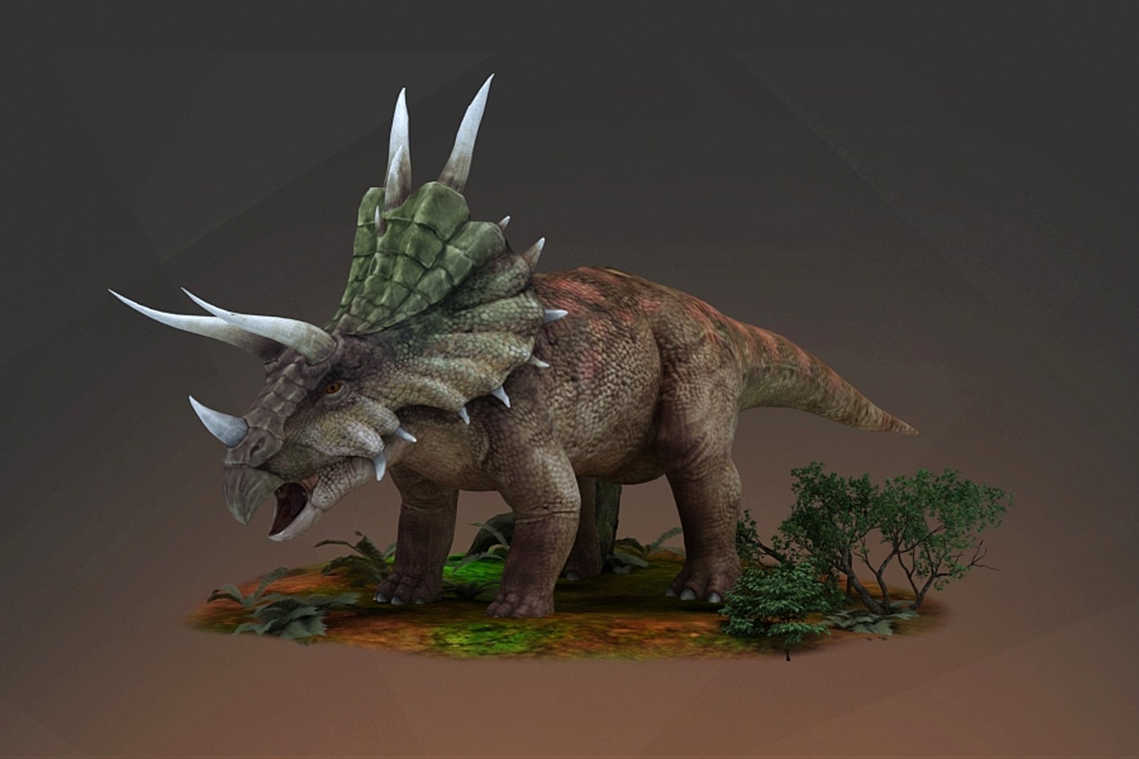 Slasher Triceratops Protozoa Vr 3D Model - TurboSquid 1617968