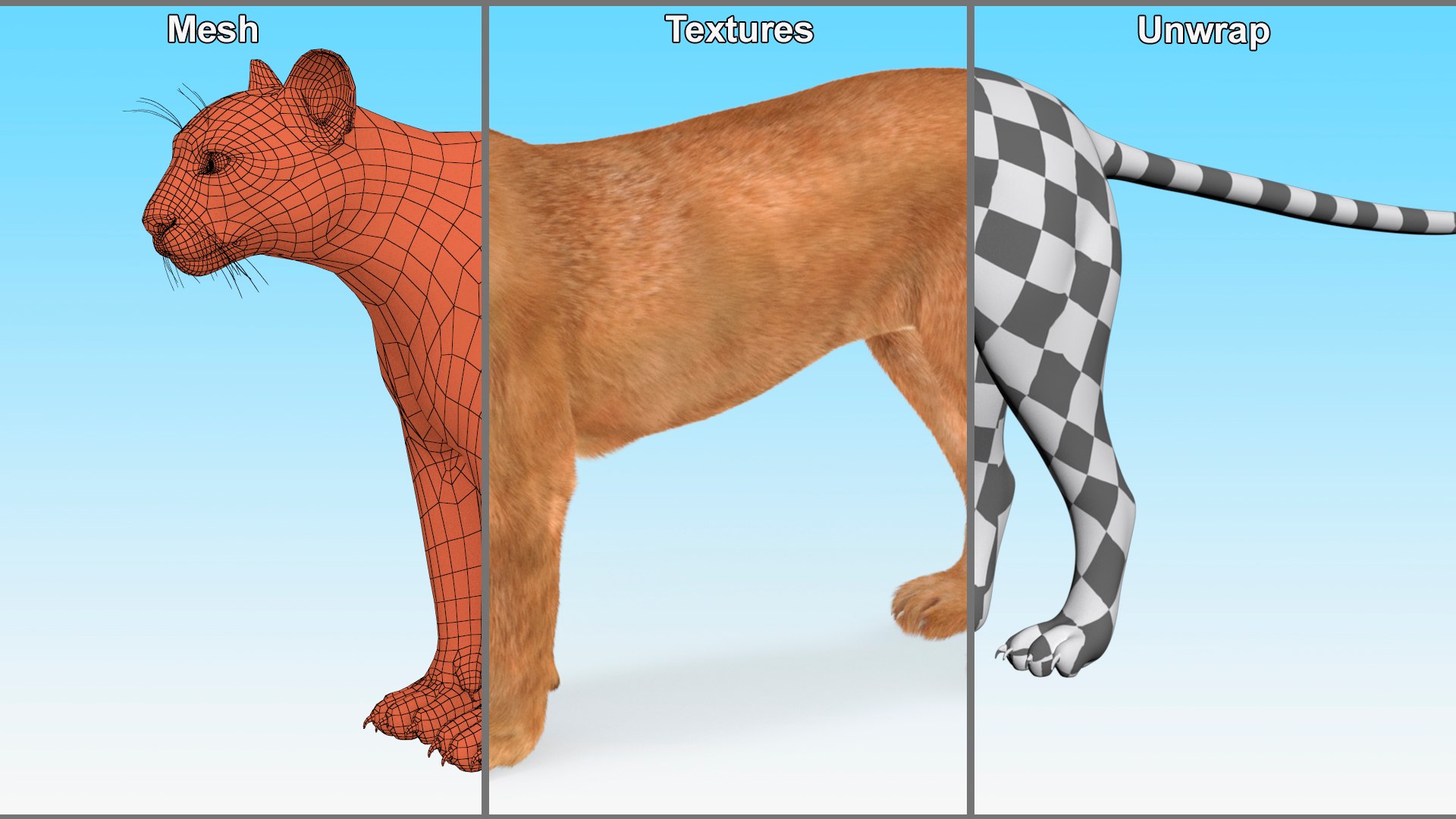 Puma Fur 3D Model - TurboSquid 2239302