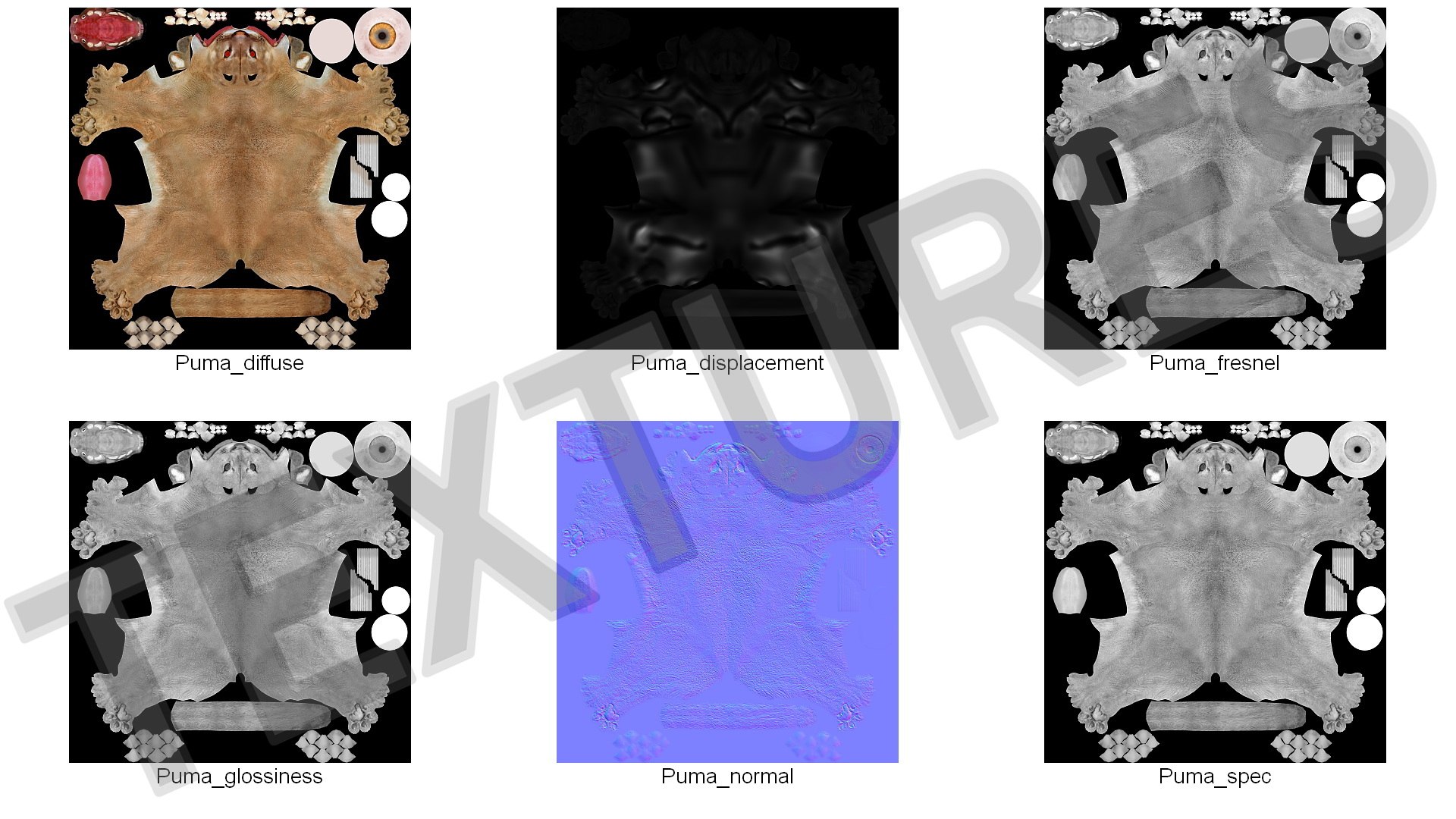 Puma Fur 3D Model - TurboSquid 2239302