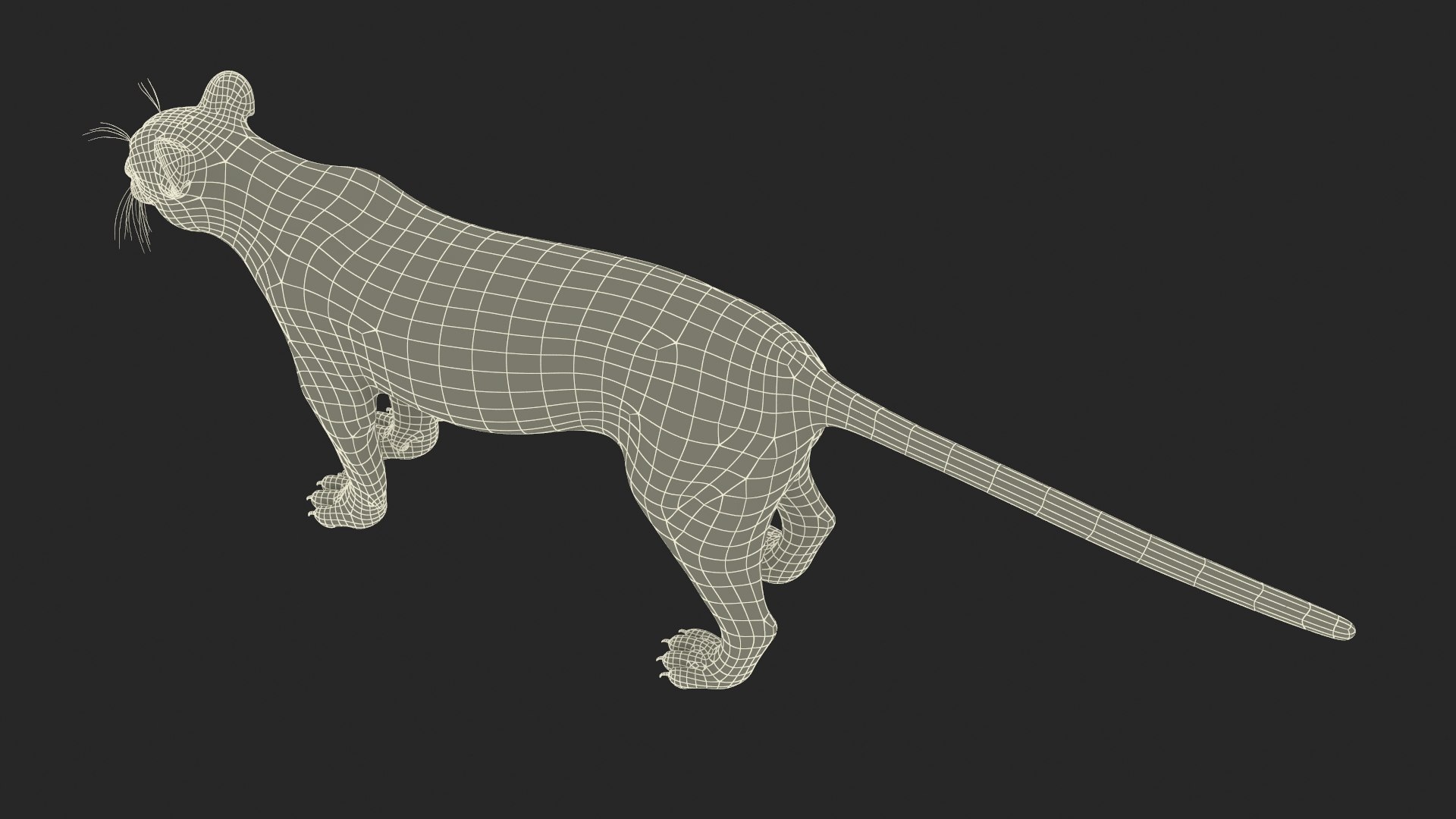 Puma Fur 3D Model - TurboSquid 2239302