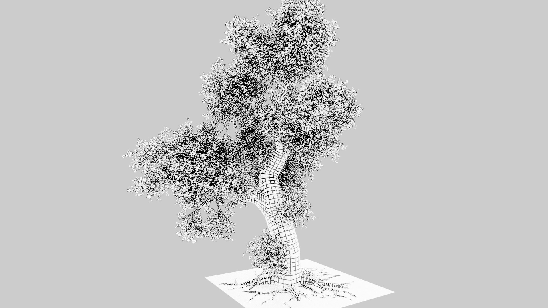 Camphor Tree 3D - TurboSquid 2006021
