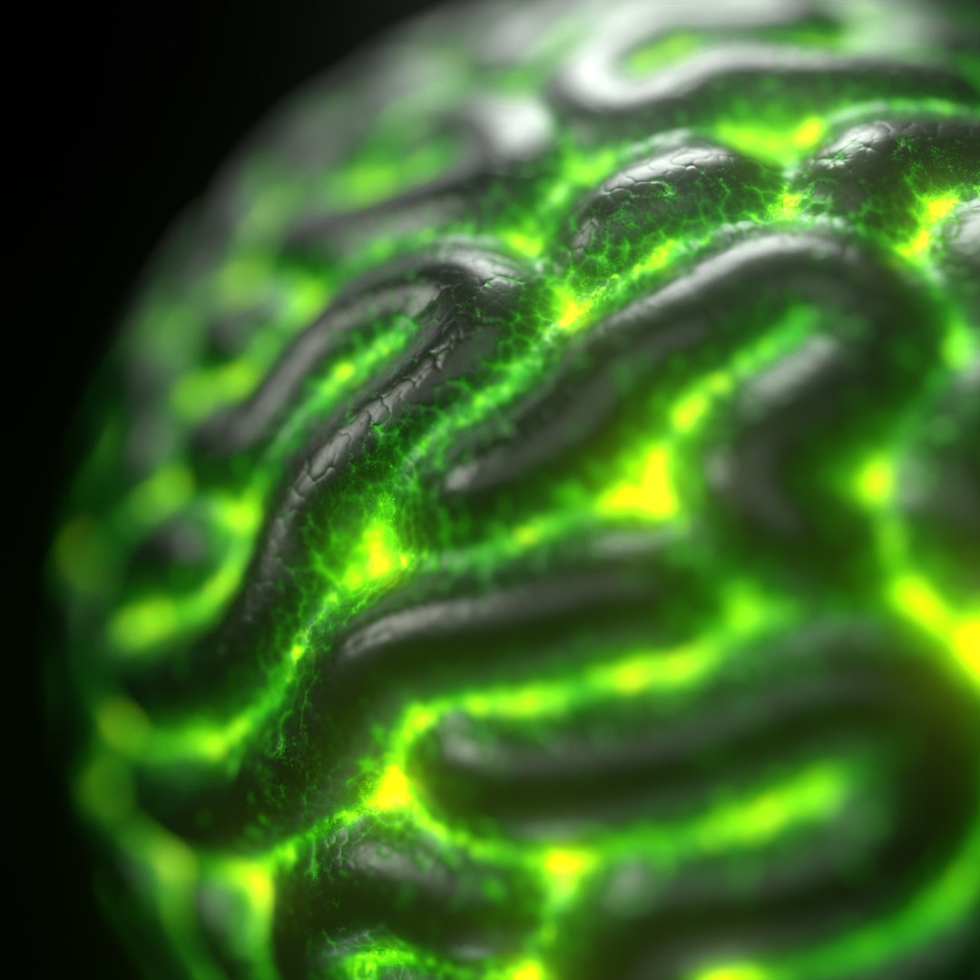 3D Artificial Brain Sci-fi Scenes - TurboSquid 1709472