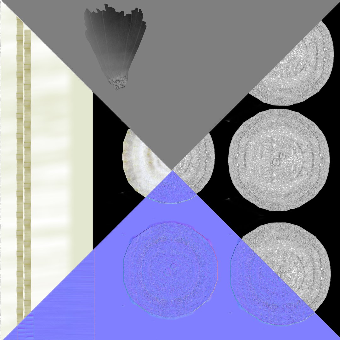 3D Onion Yellow - TurboSquid 1155968