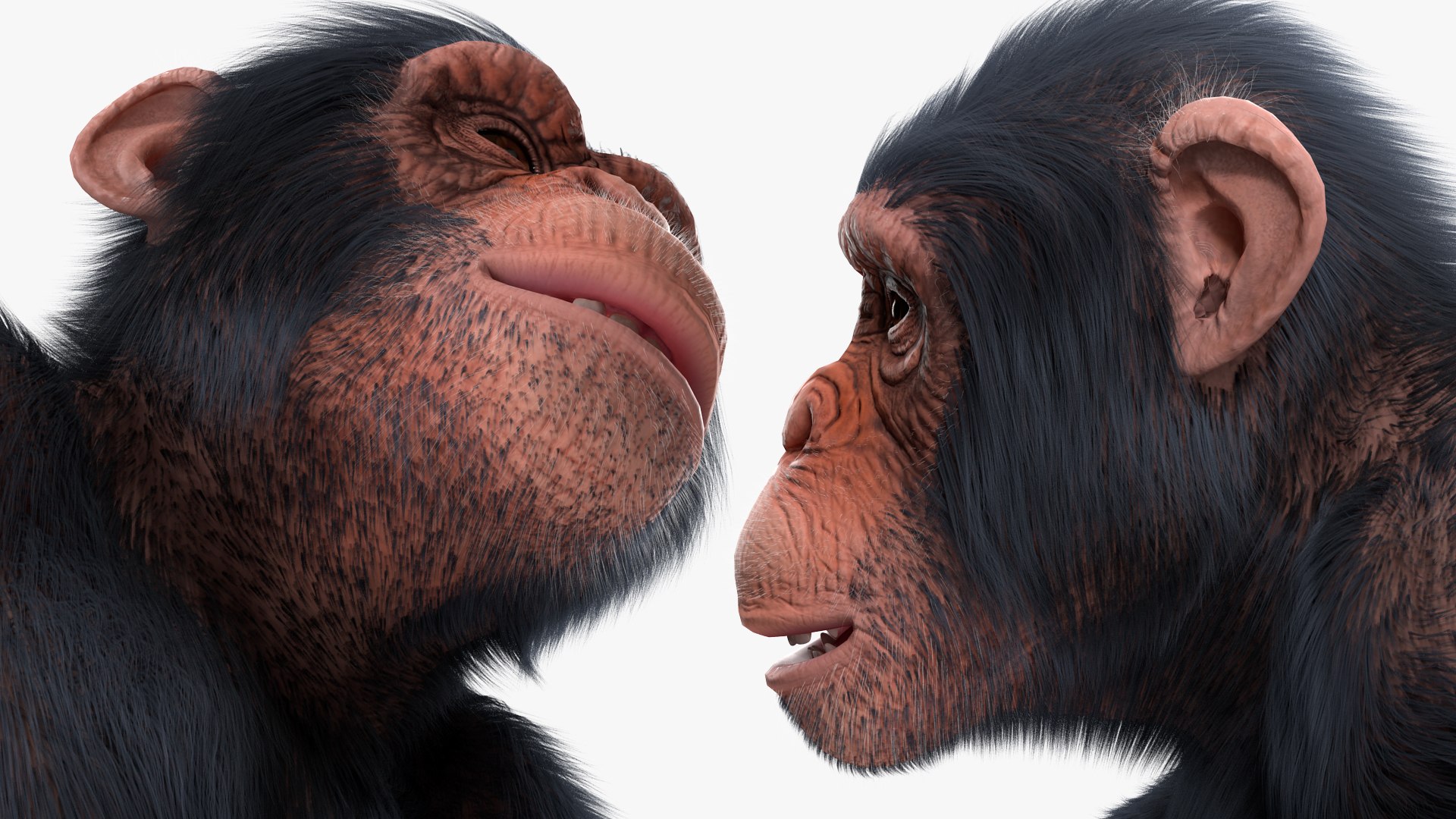 3D chimpanzee running light skin fur model - TurboSquid 1435816