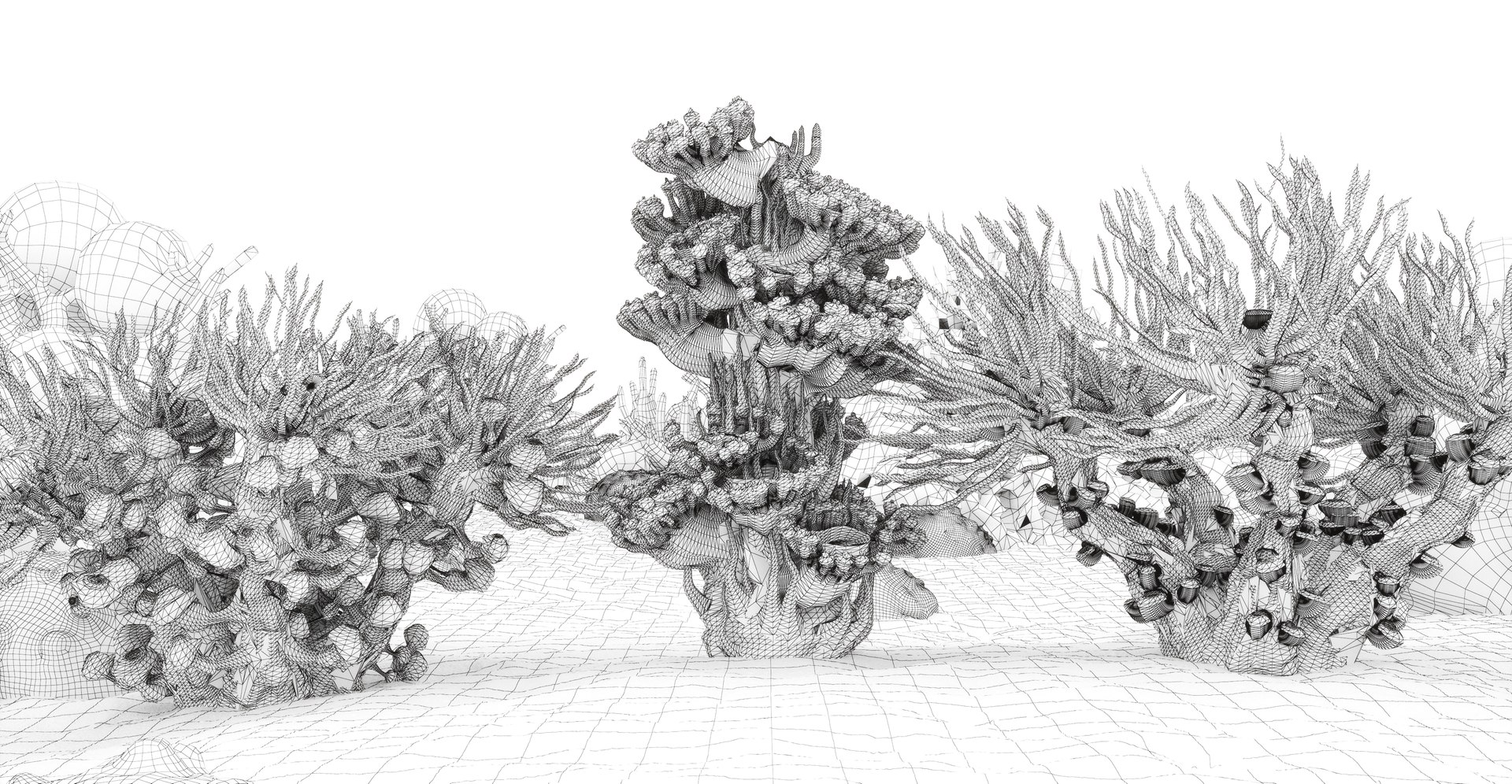 Coral Reef Marine Life 3D - TurboSquid 2340473