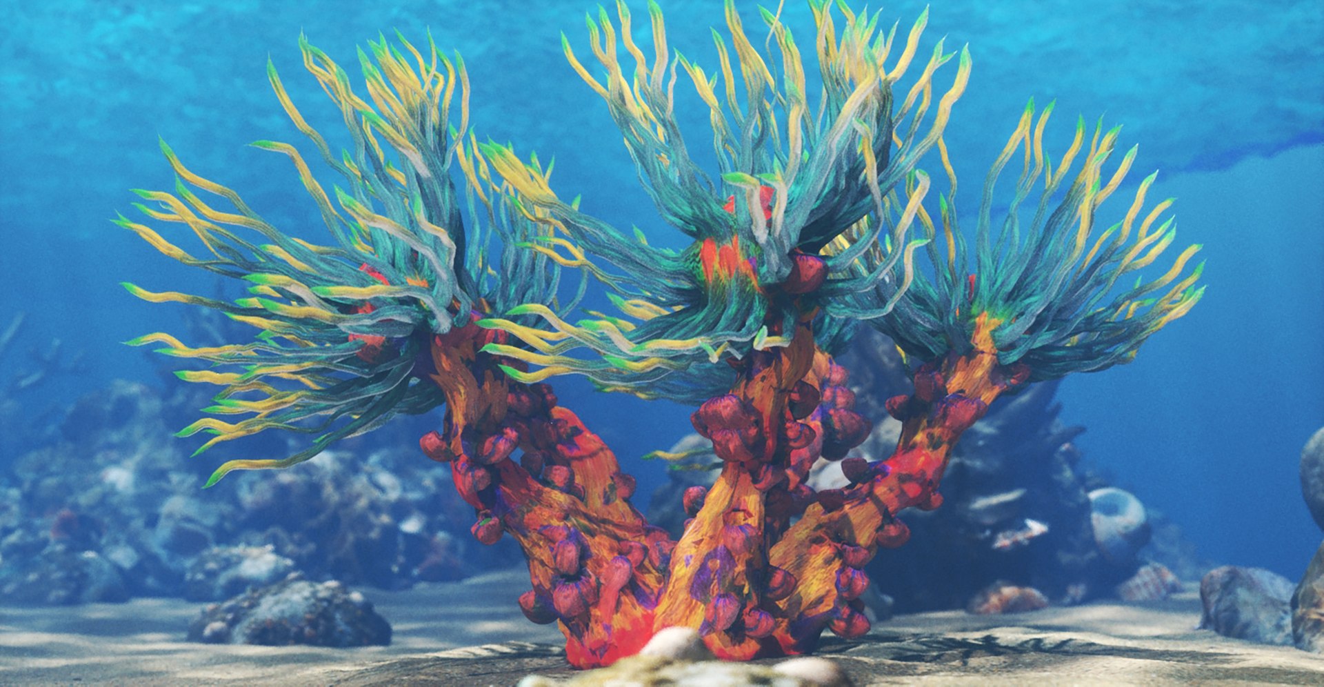 Coral Reef Marine Life 3D - TurboSquid 2340473