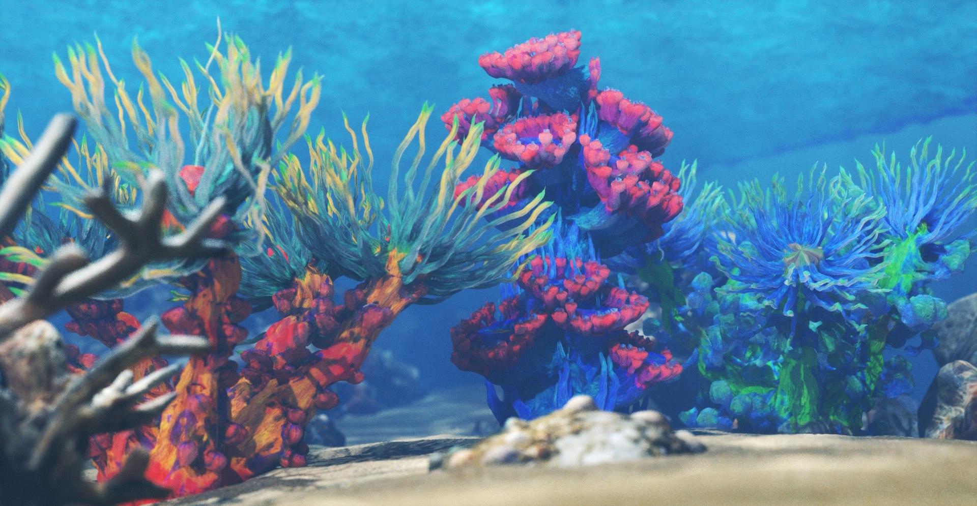 Coral Reef Marine Life 3D - TurboSquid 2340473