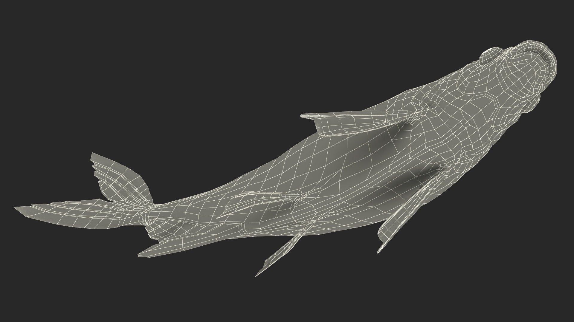 Swimming Bronze Bream Fish 3D Model - TurboSquid 2156951