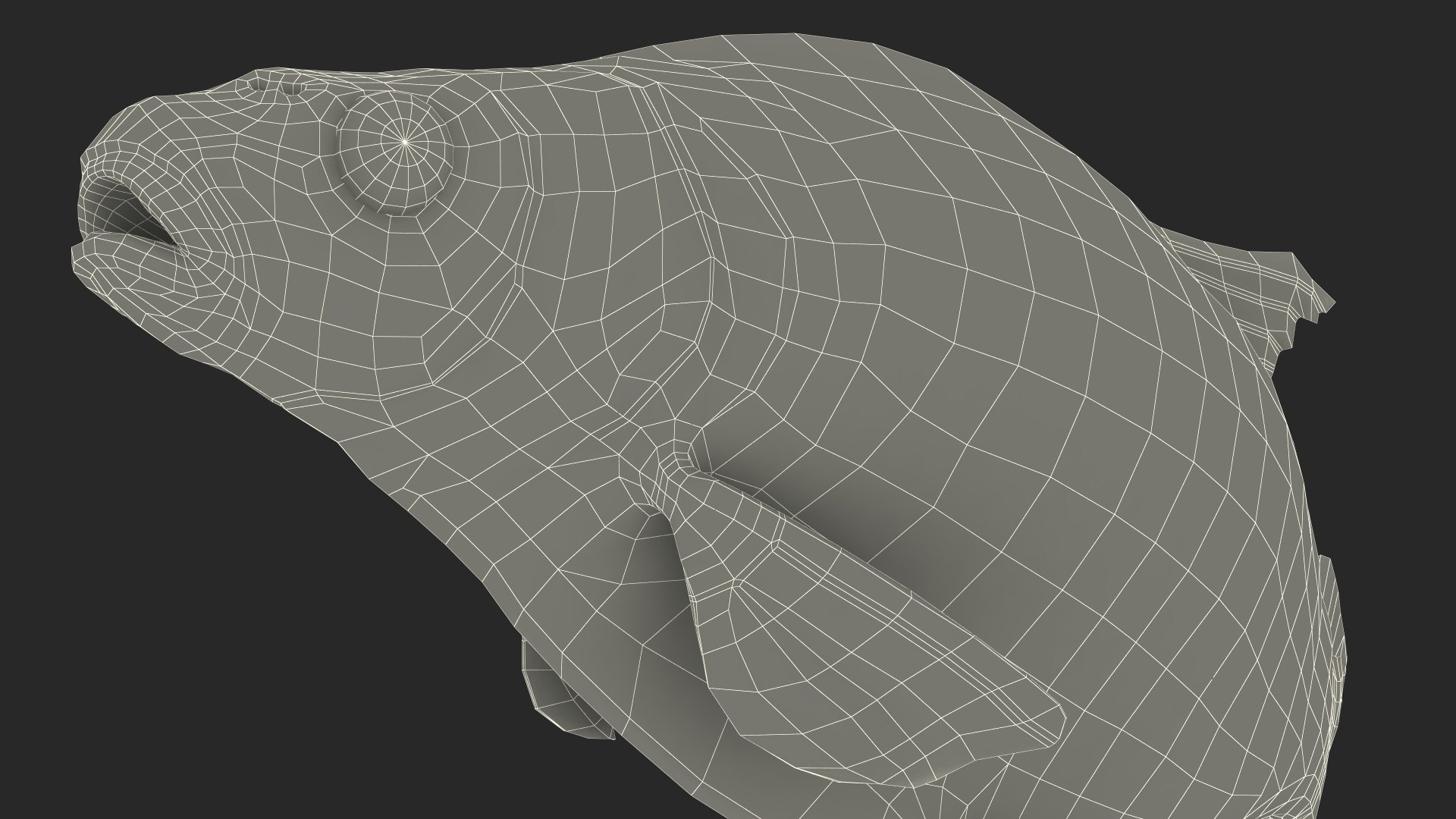 Swimming Bronze Bream Fish 3D Model - TurboSquid 2156951