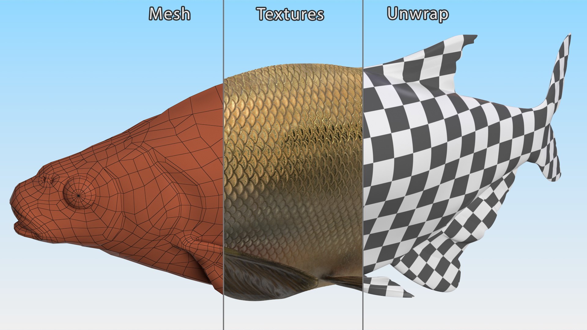 Swimming Bronze Bream Fish 3D Model - TurboSquid 2156951