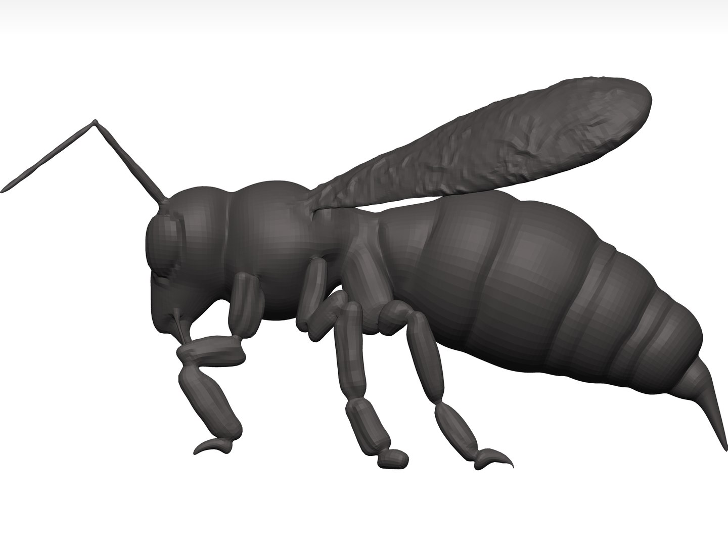 Bee Stl 3D Model - TurboSquid 1774111