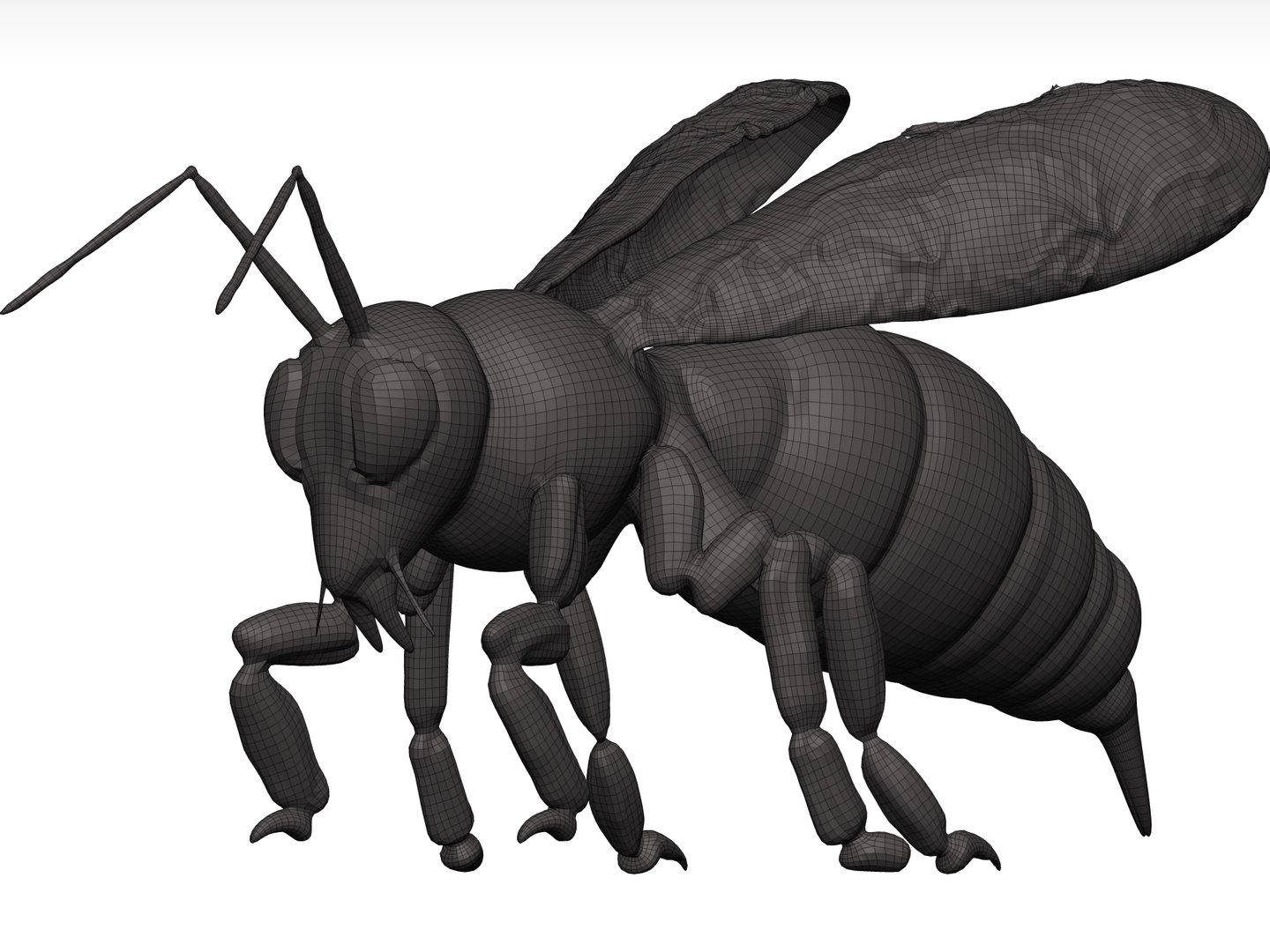 Bee Stl 3D model - TurboSquid 1774111