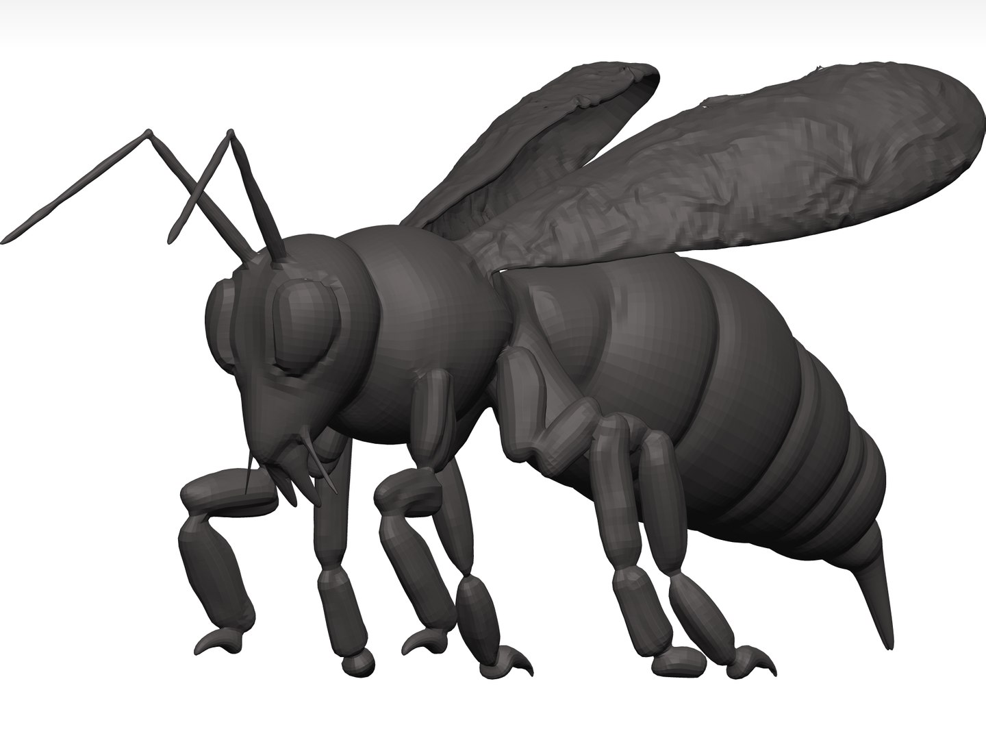 Bee Stl 3D Model - TurboSquid 1774111