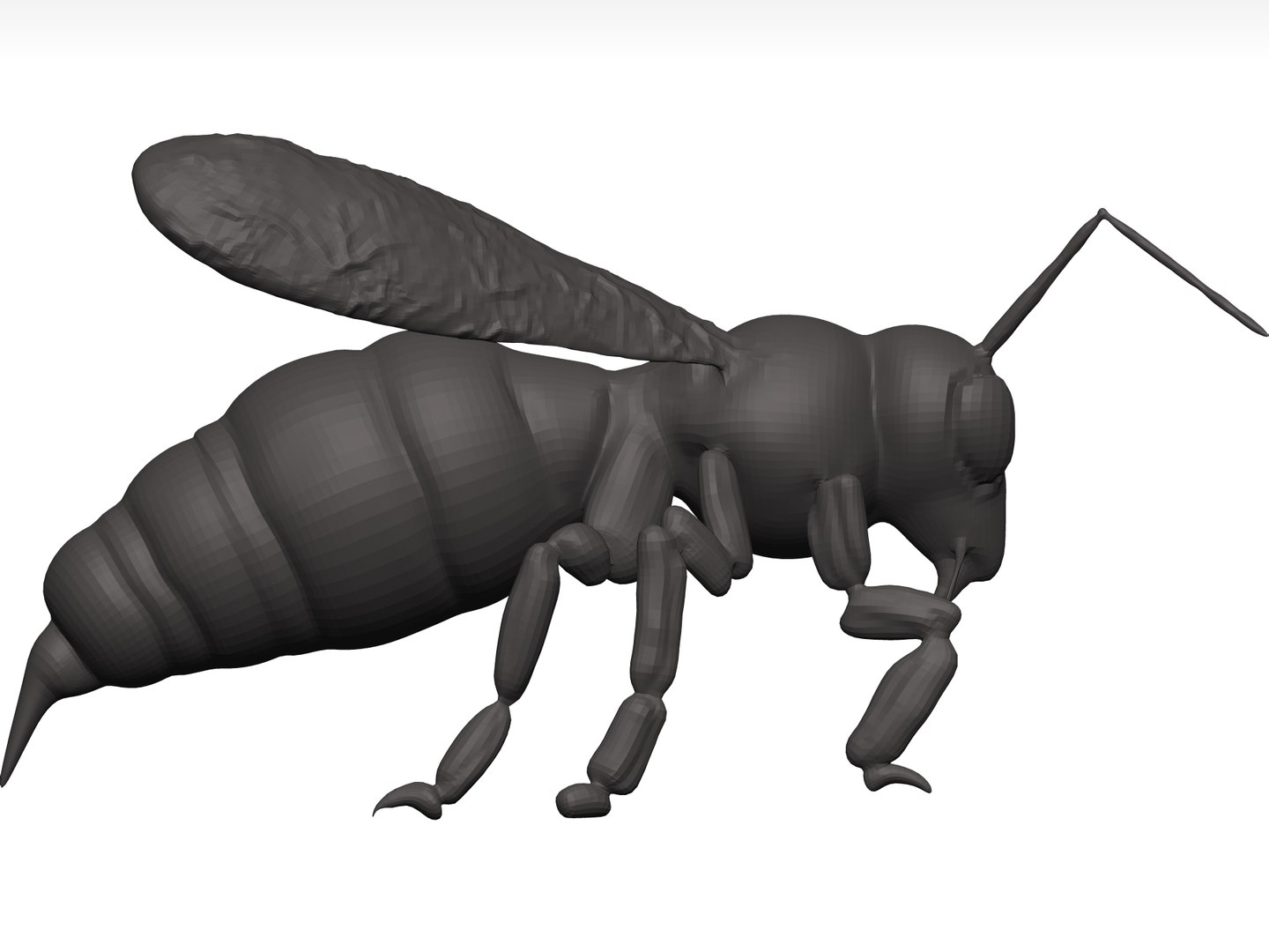 Bee Stl 3D model - TurboSquid 1774111