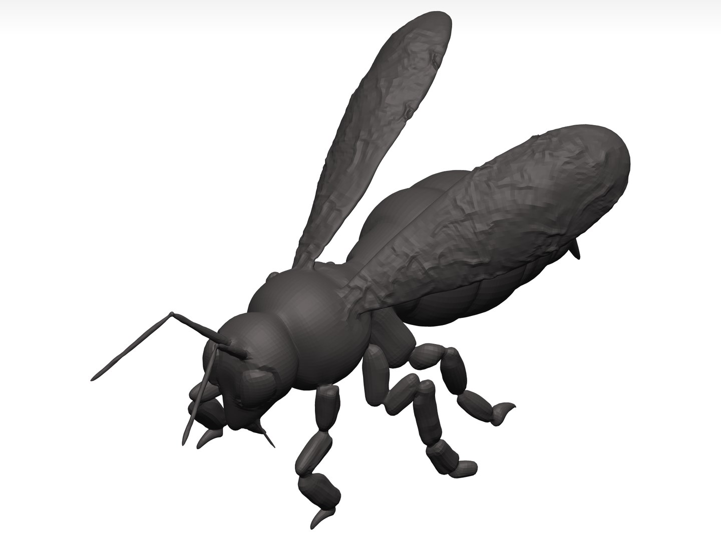 Bee Stl 3D model - TurboSquid 1774111