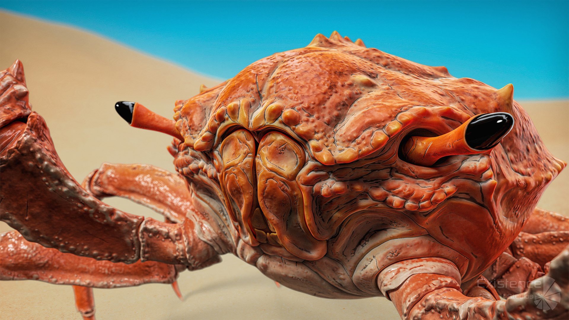 Royal Crab - King Sebastian - Low Poly Realistic 3D Model - Rigged ...