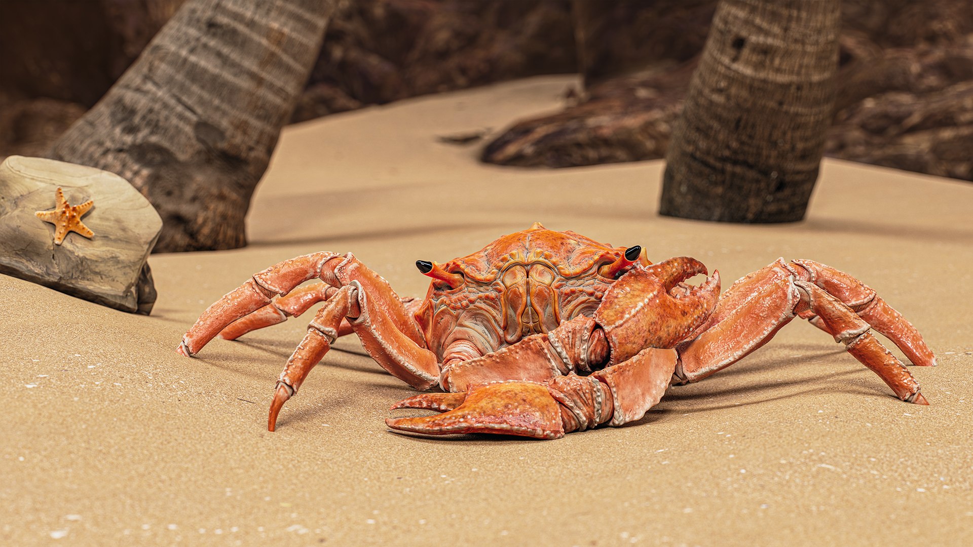 Royal Crab - King Sebastian - Low Poly Realistic 3D Model - Rigged Animated Monster - 18 3D ...