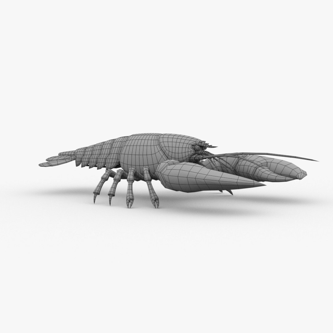 modelo 3d lobster basemesh - TurboSquid 2006958