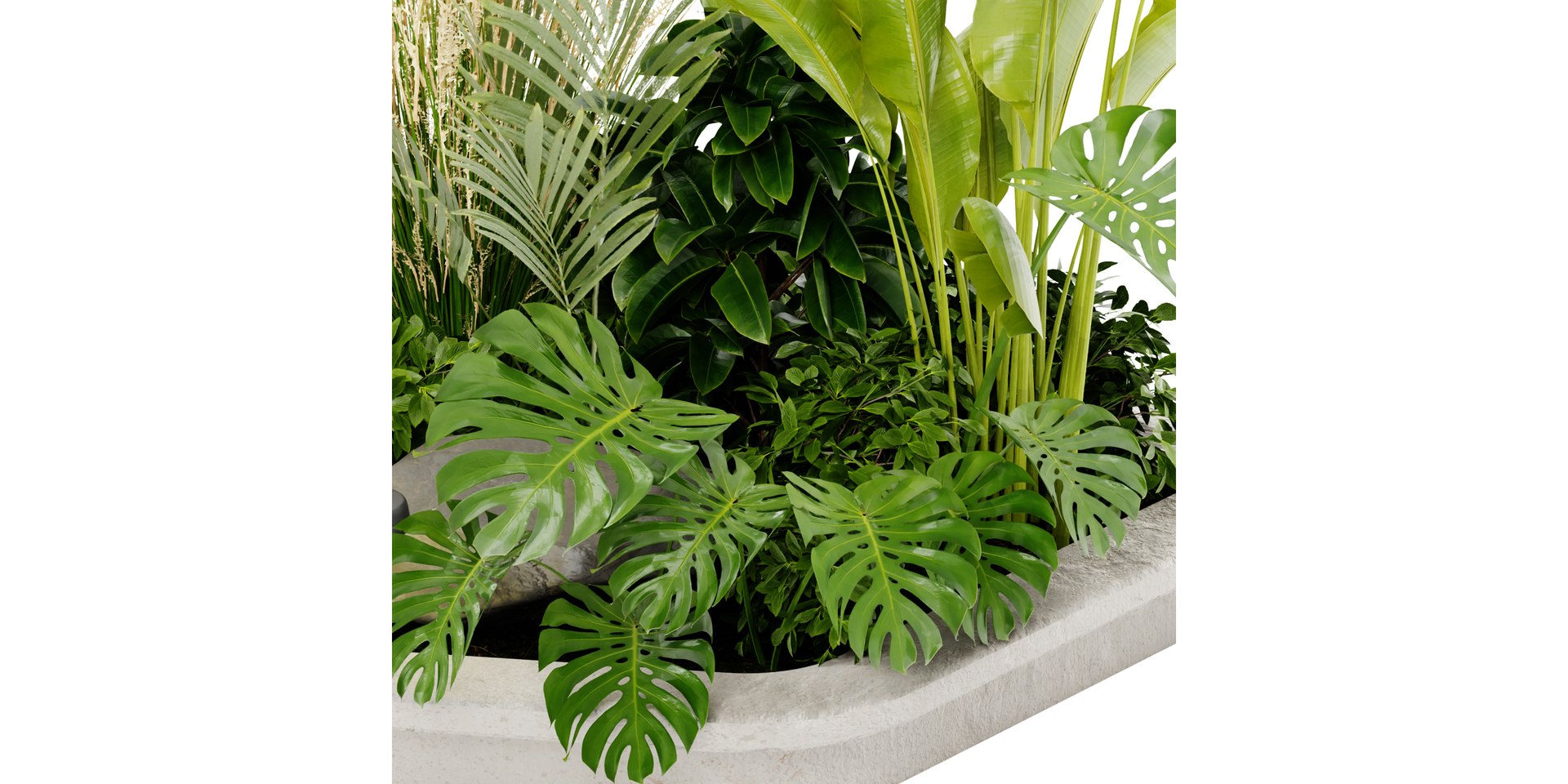 Collection plant vol 442 - blender model 3D - TurboSquid 2097175