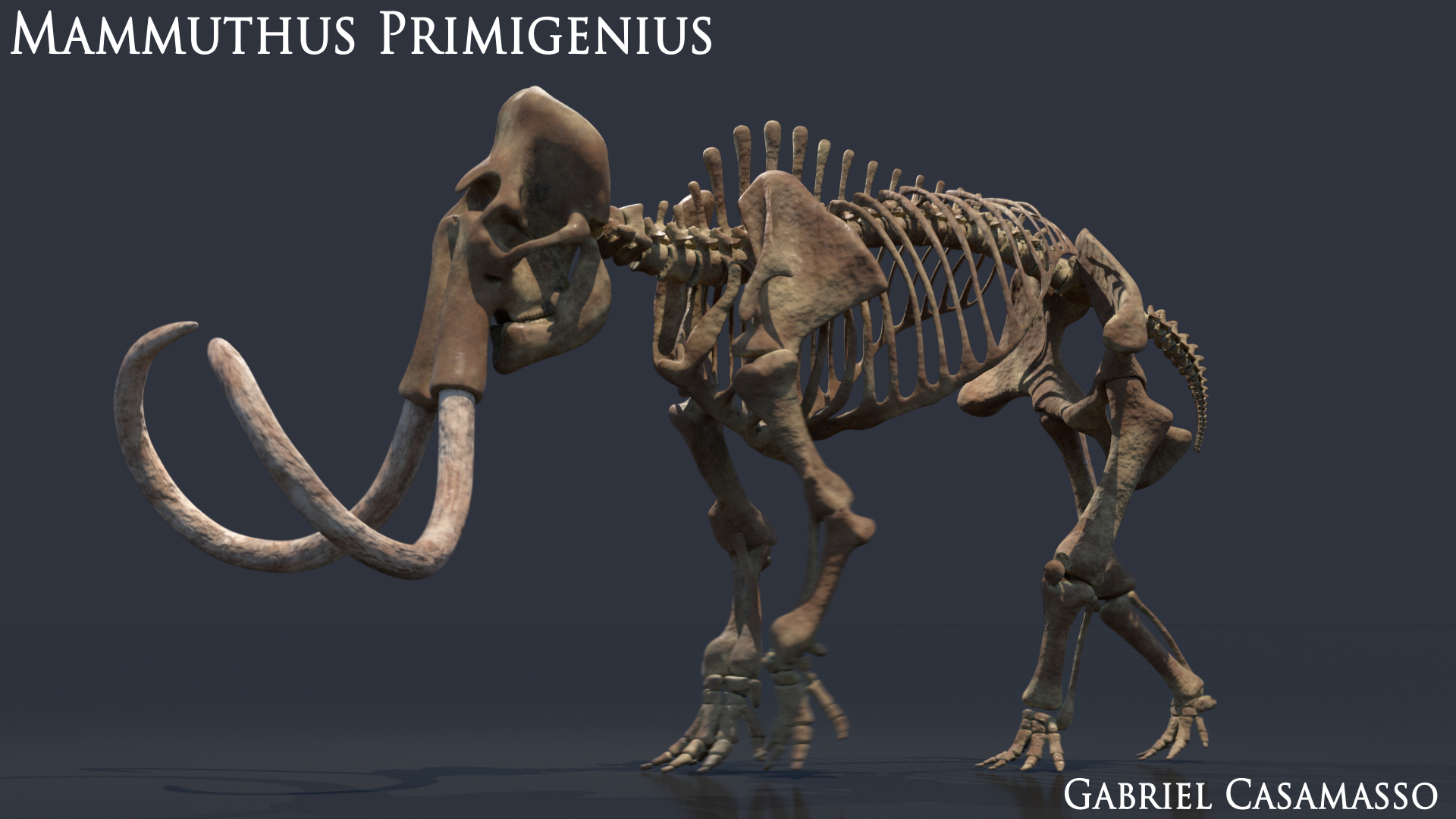 3D Model Complete Mammoth Skeleton Animate - TurboSquid 1225064