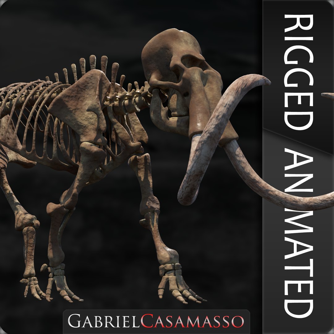 3D Model Complete Mammoth Skeleton Animate - TurboSquid 1225064