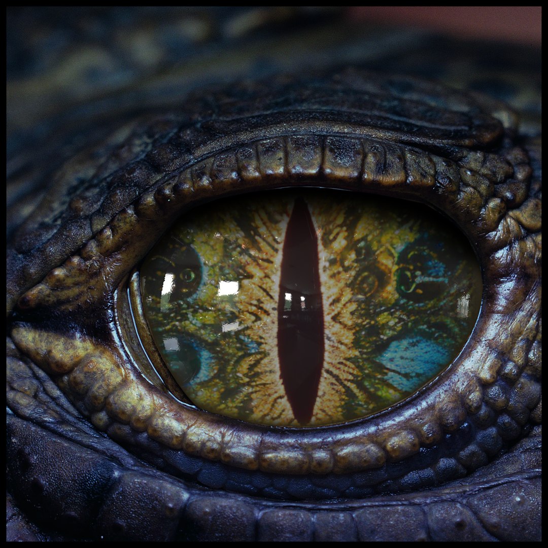 3D Creature Eyes Vol 09 - PBR Model - TurboSquid 2133101
