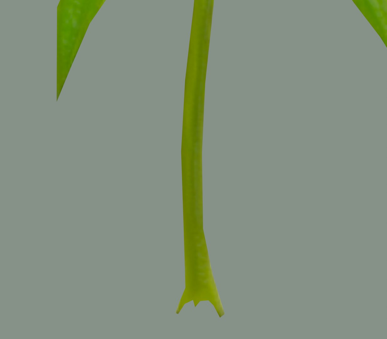 3D Cannabis Leaf Realistic Model - TurboSquid 2058303