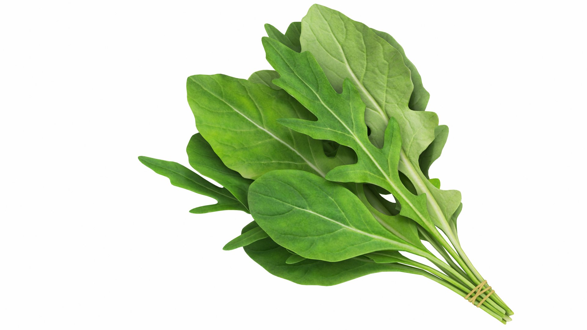 Herb And Green Bunchs 5 In 1 3D Model - TurboSquid 2515269