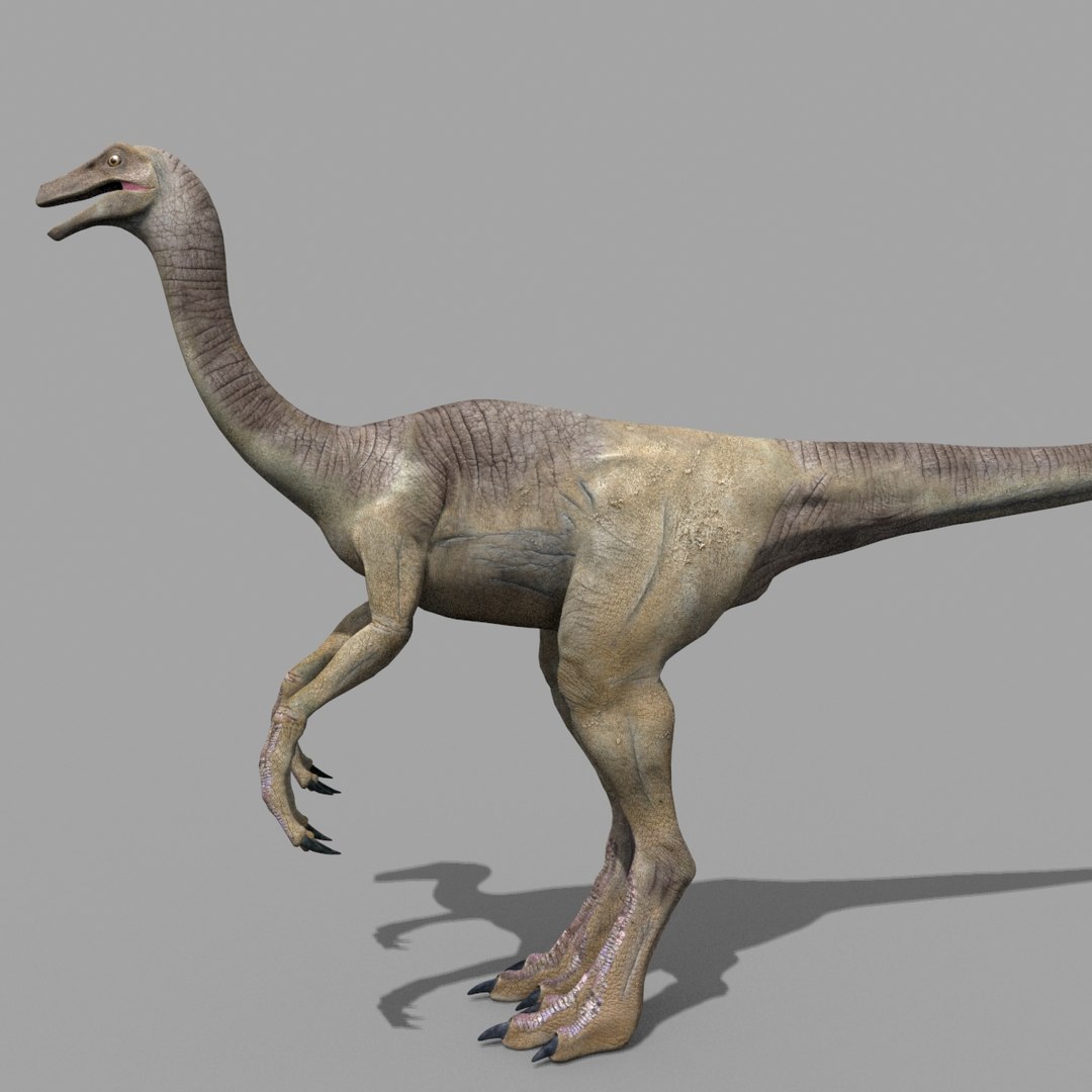 Jurassic Gallimimus Animation Hd 3D - TurboSquid 1338015