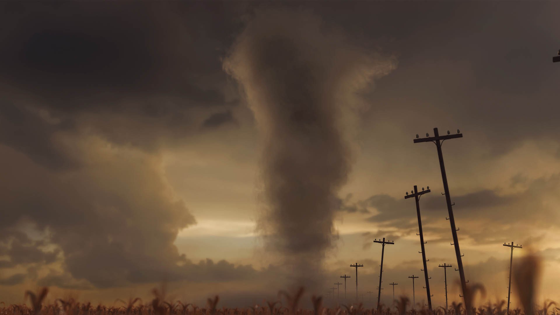 3D Animated VDB Tornado - TurboSquid 2158594