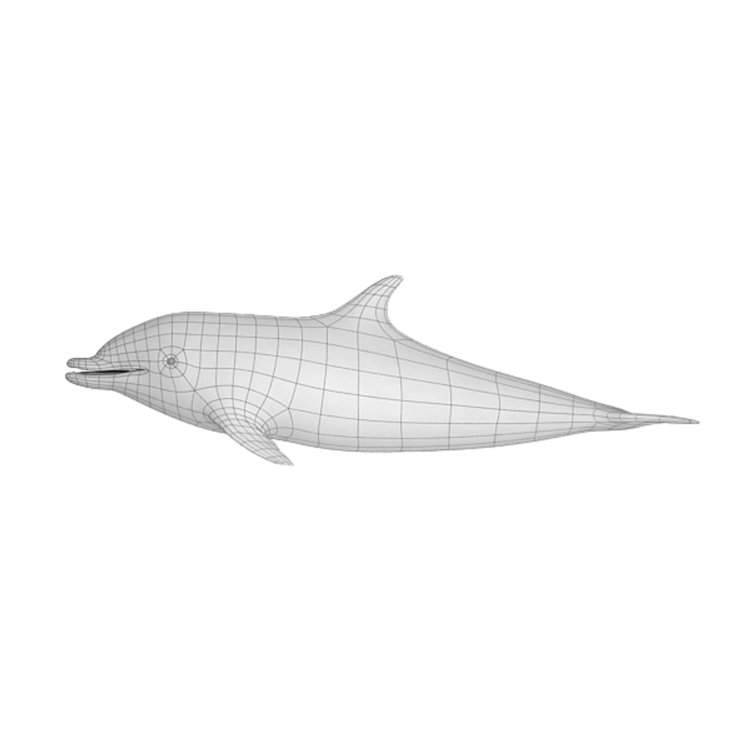 obj base mesh dolphin