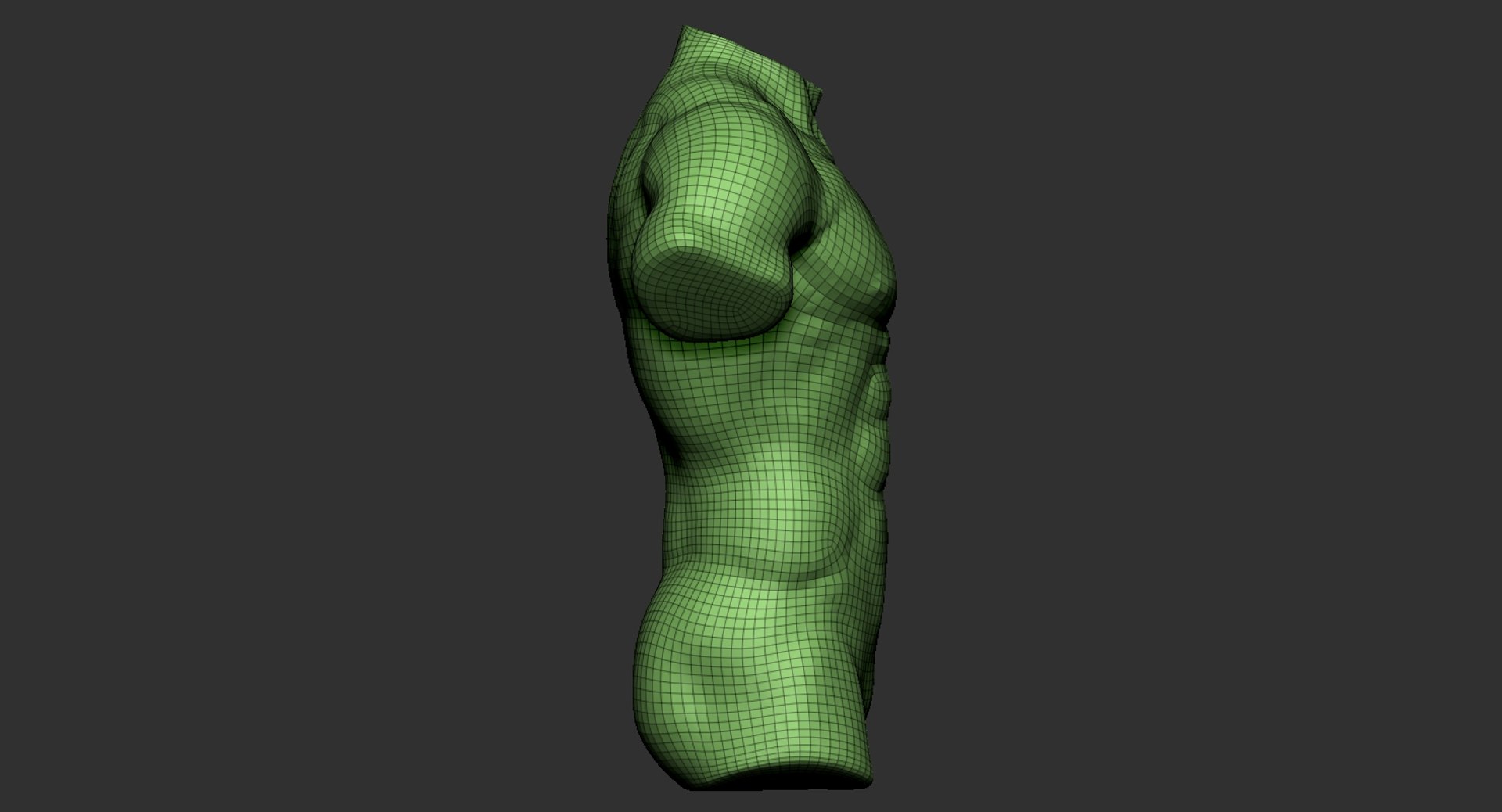 Human muscular torso 2019 model - TurboSquid 1440051