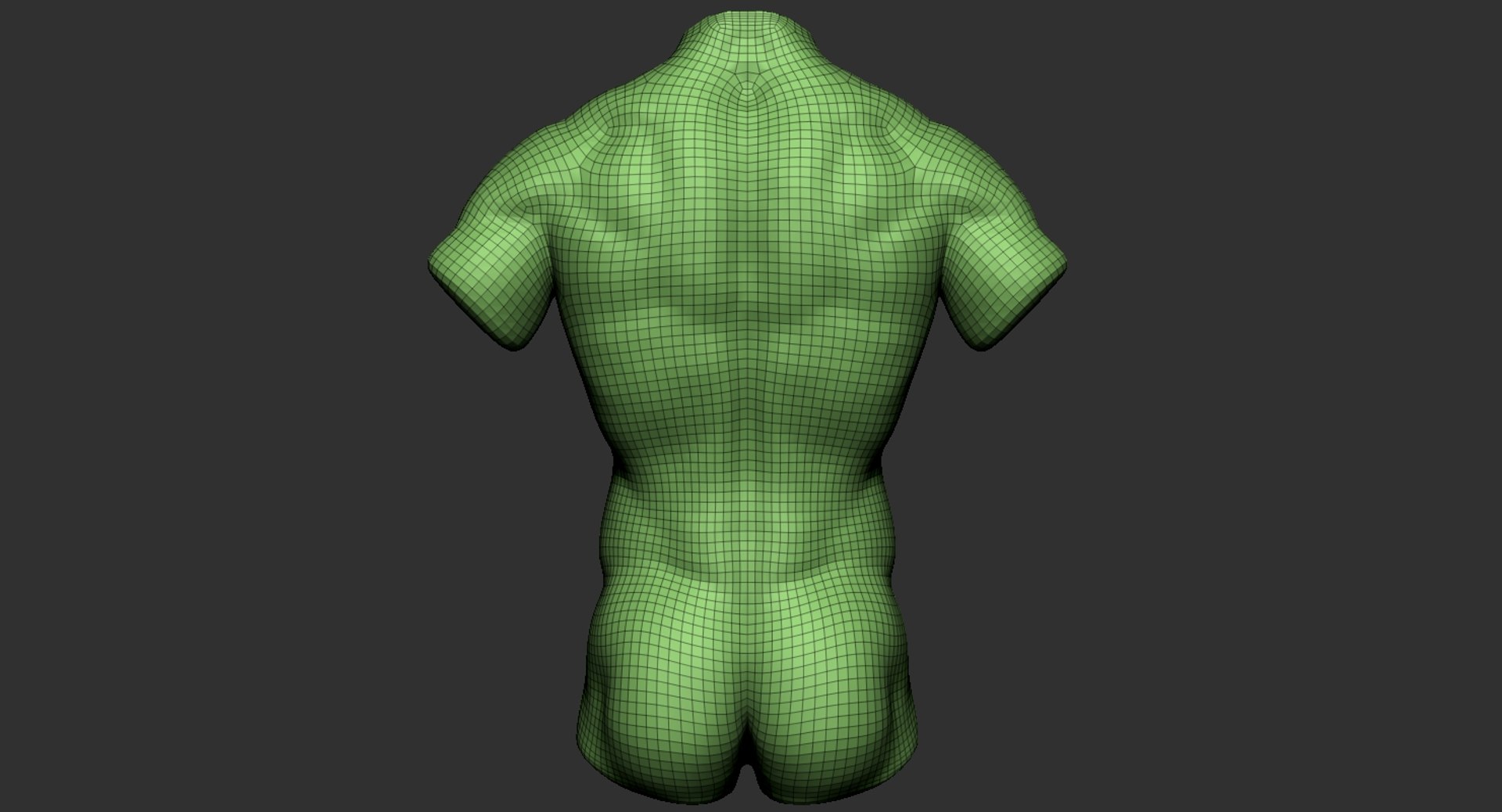 Human muscular torso 2019 model - TurboSquid 1440051