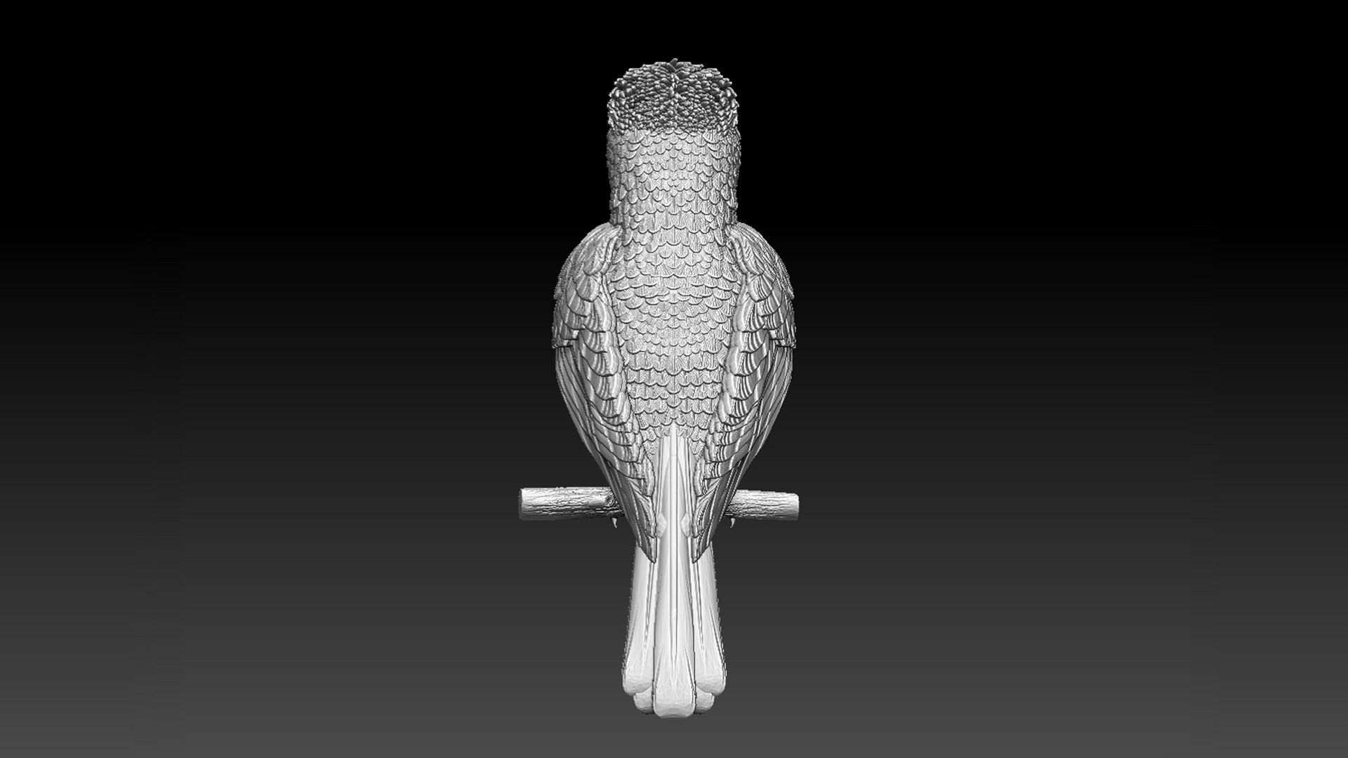 Jay Bird 3D Model - TurboSquid 1765543