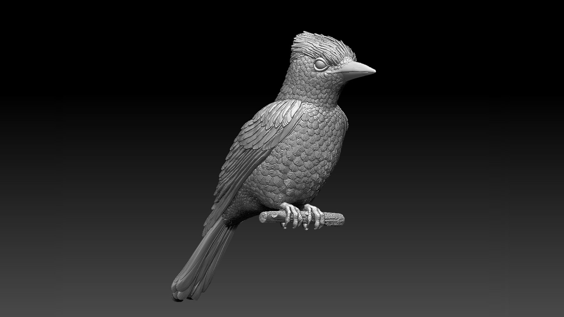 Jay Bird 3D Model - TurboSquid 1765543