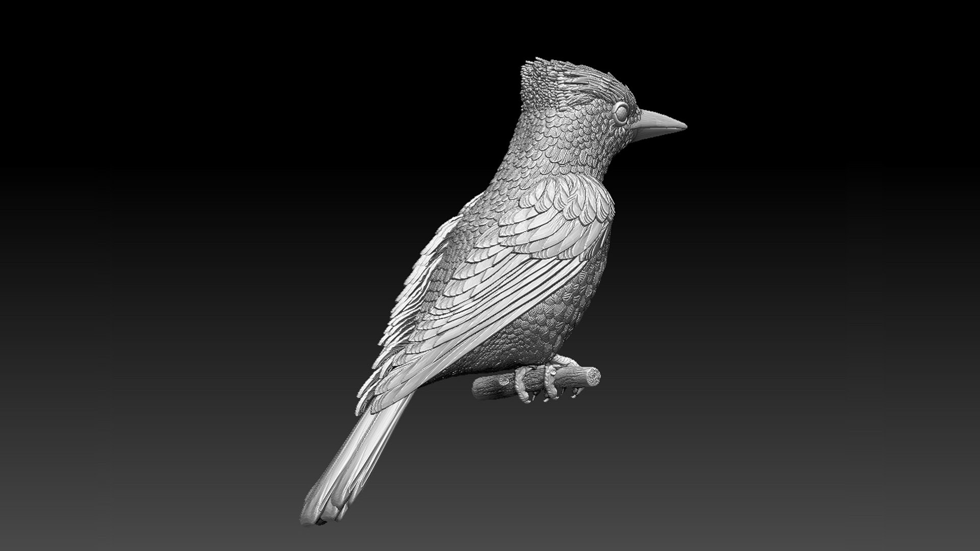 Jay Bird 3D Model - TurboSquid 1765543