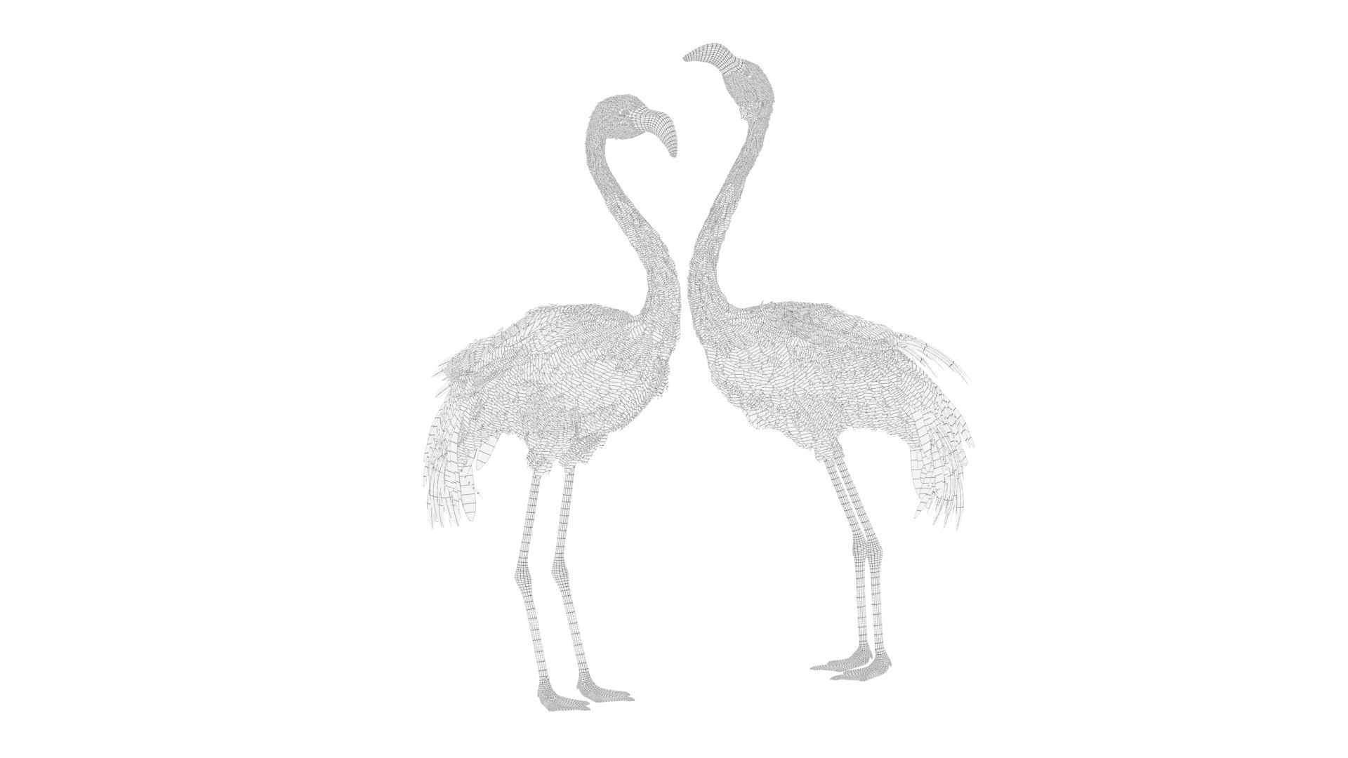 3D Flamingo Model - TurboSquid 1732197