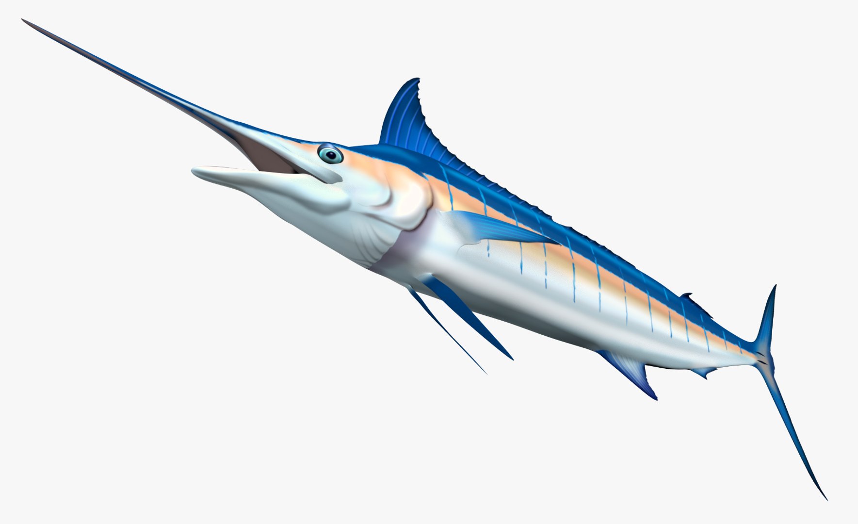 3D striped marlin kajikia audax model - TurboSquid 1291496