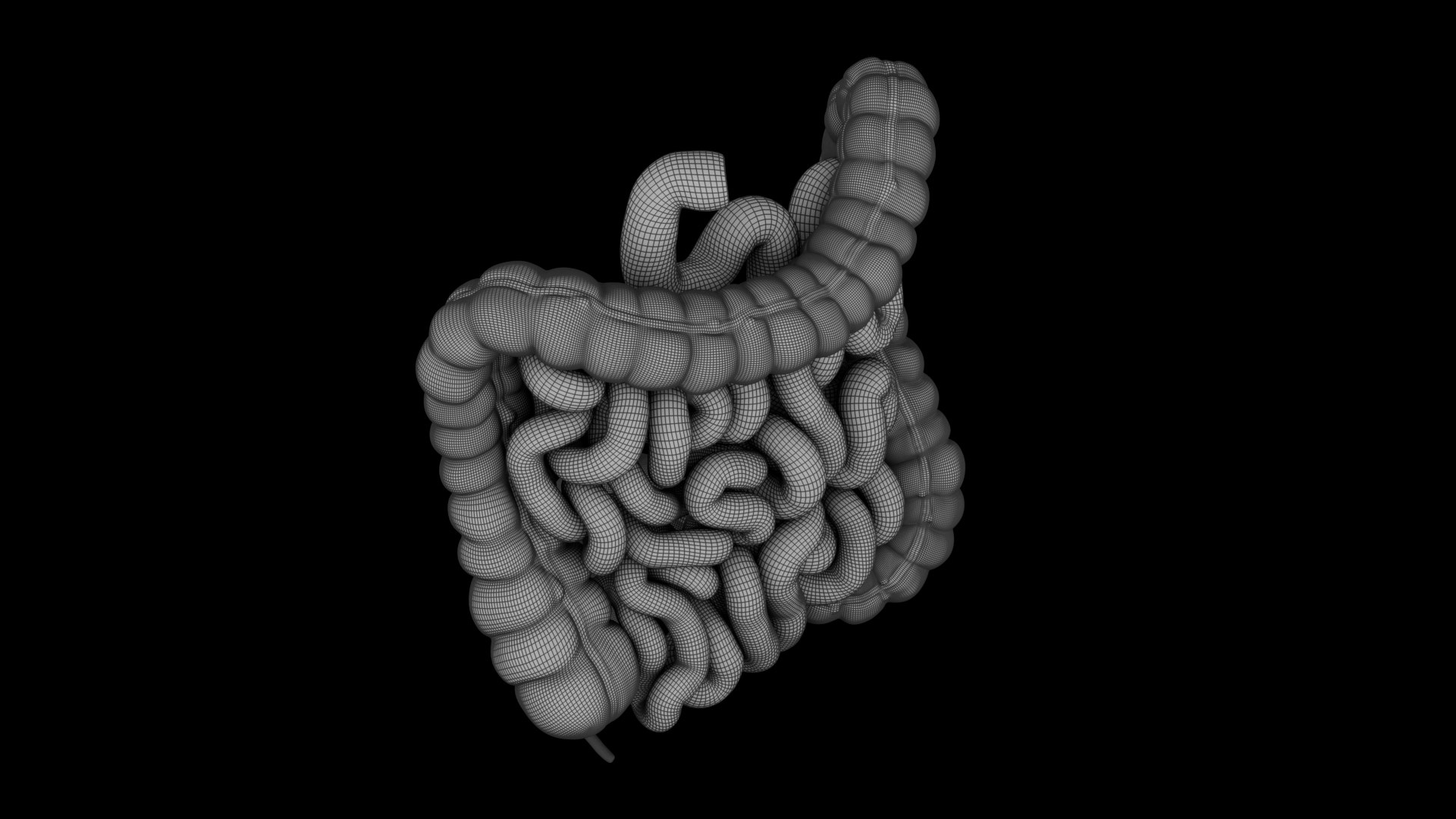 3D Human Intestine Anatomy PBR - TurboSquid 1974636