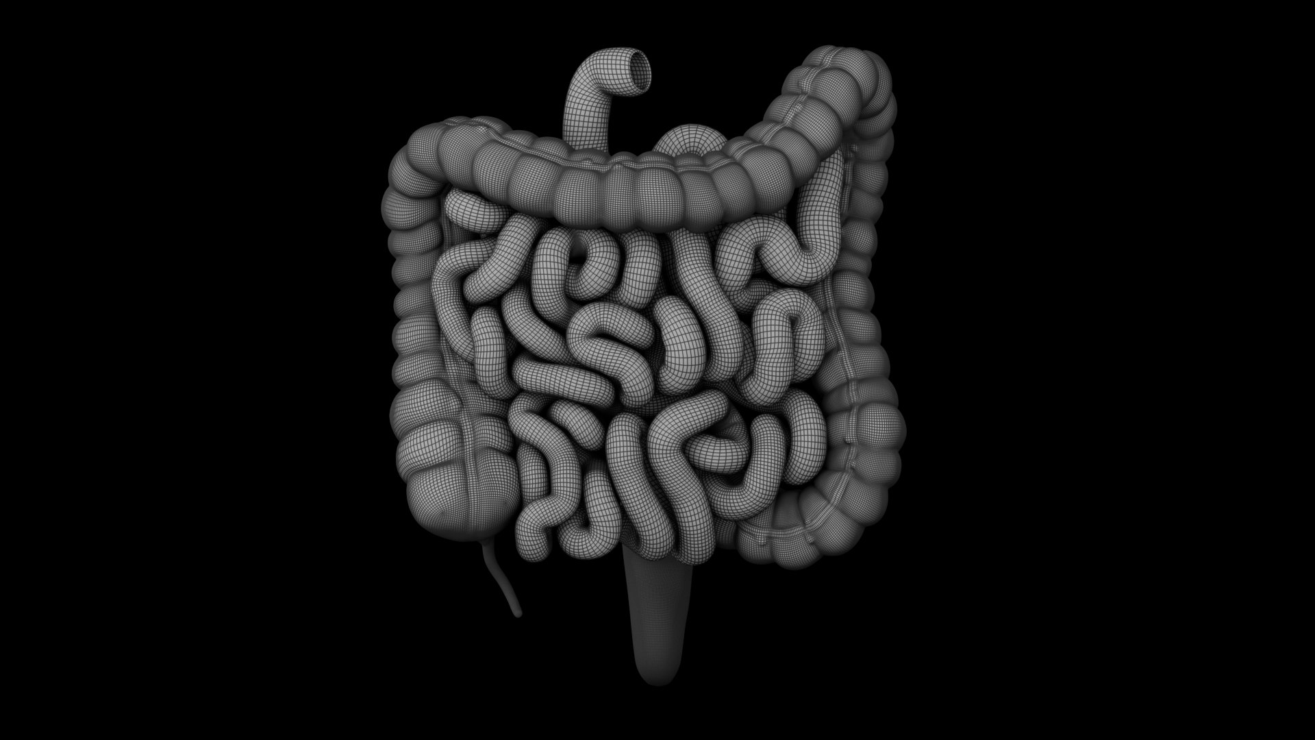 3D Human Intestine Anatomy PBR - TurboSquid 1974636