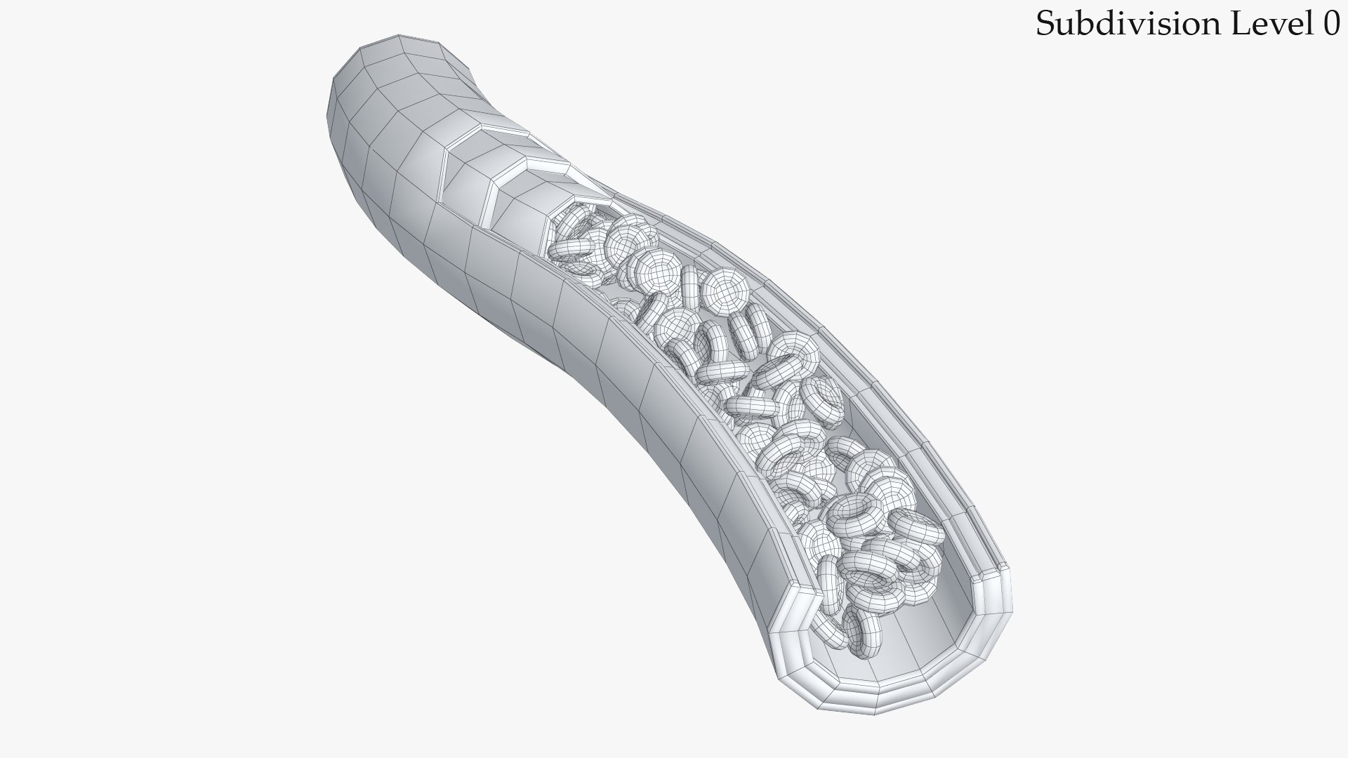 3D Model Blood Vessel Section - TurboSquid 1503137